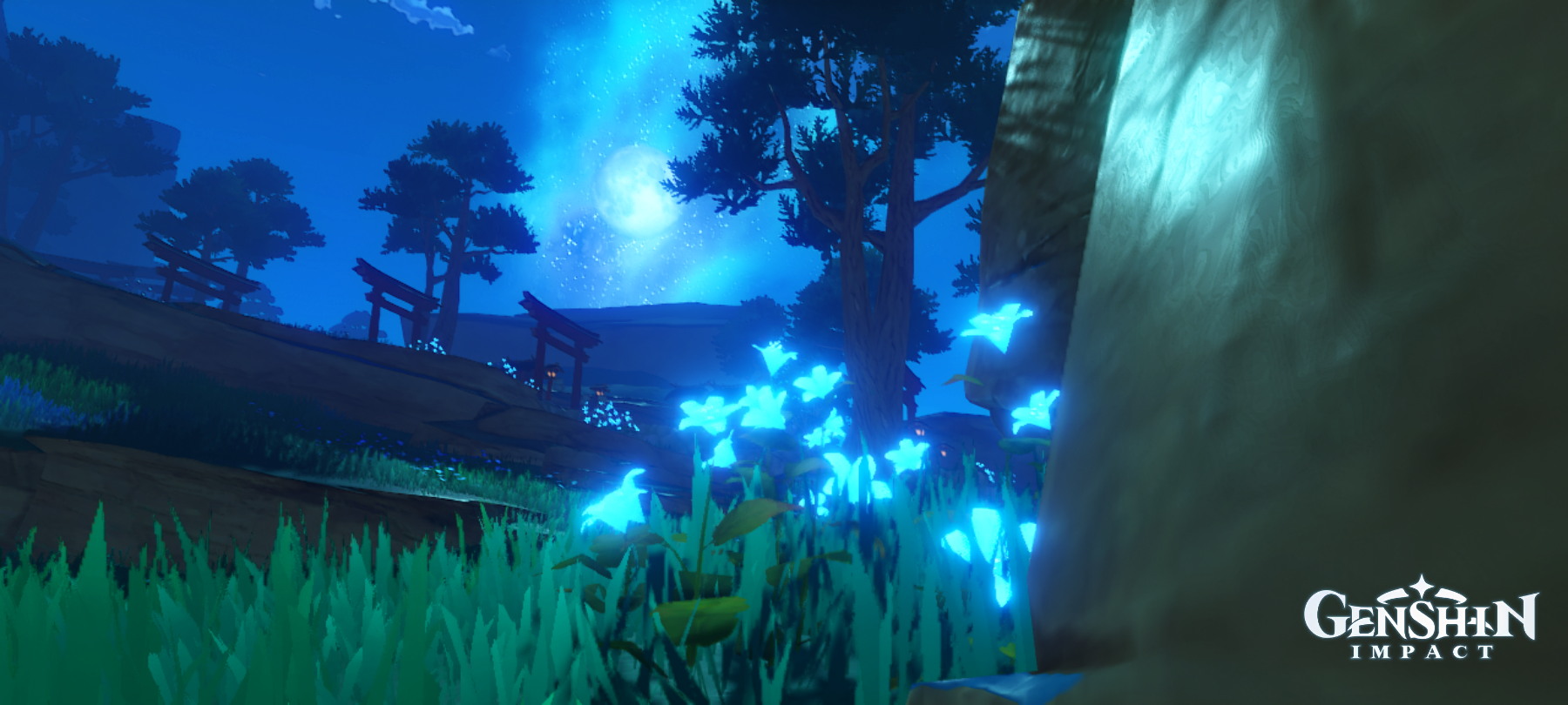 Moonlight Forest in Inazuma Genshin Impact | HoYoLAB