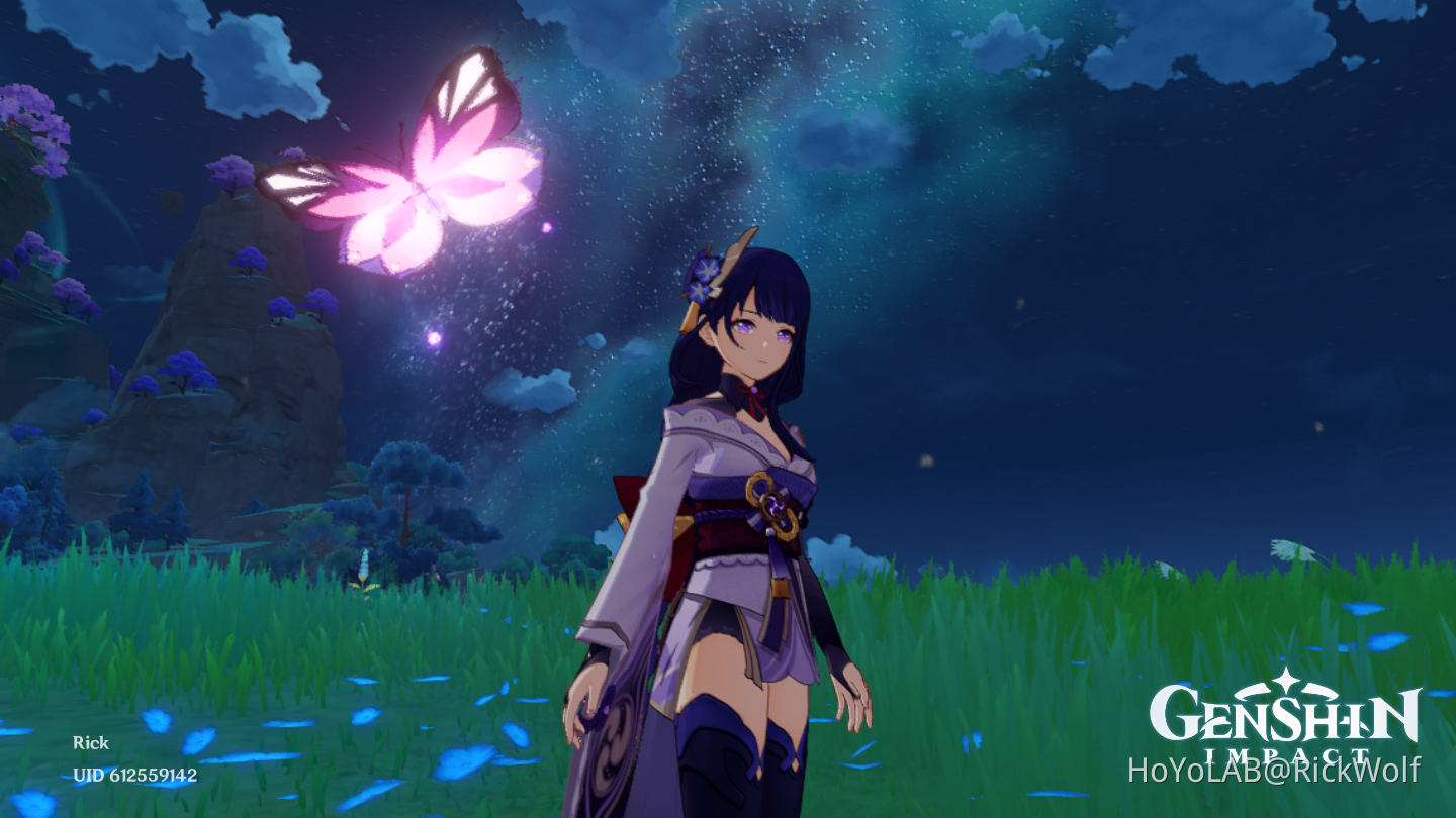 🦋Ei and butterfly💜 Genshin Impact | HoYoLAB
