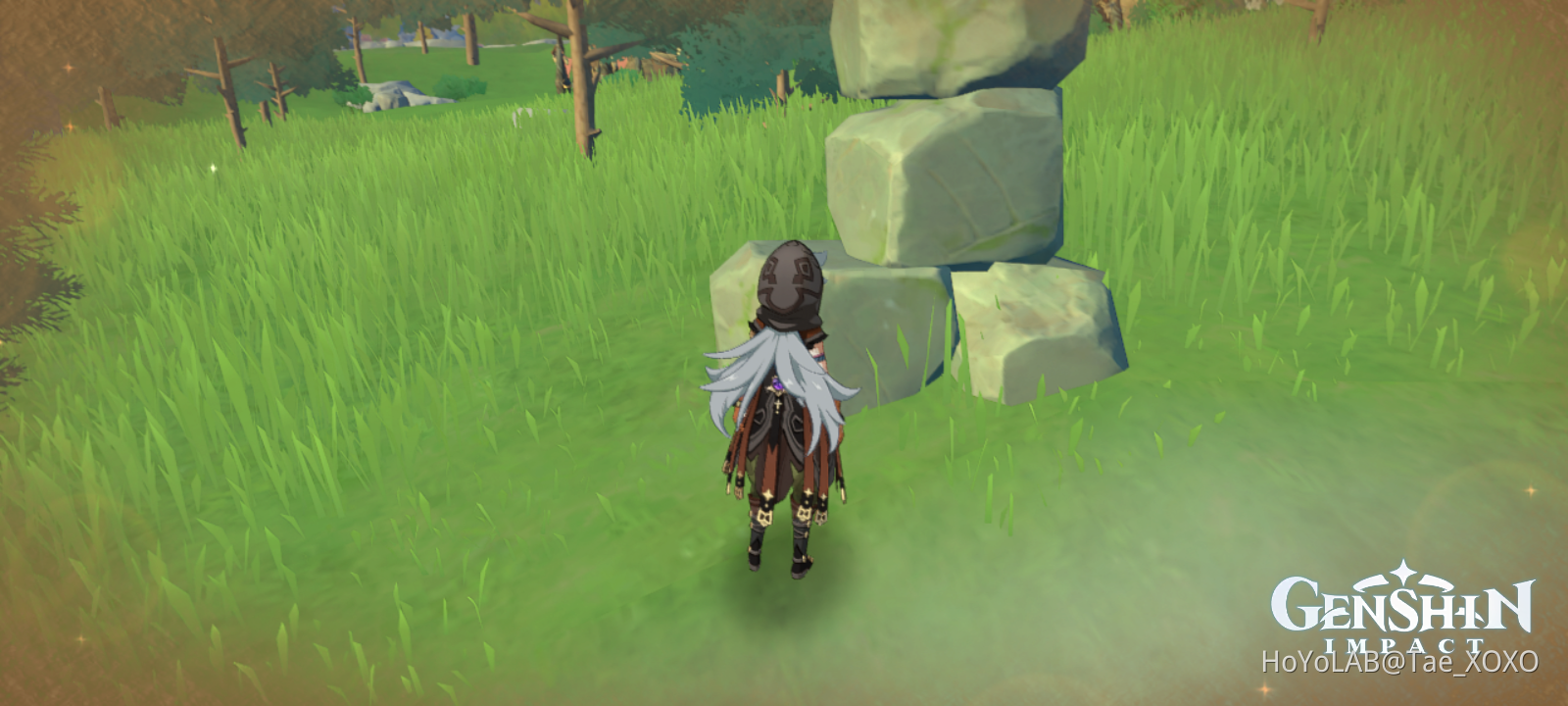 Piedra pilila Genshin Impact | HoYoLAB