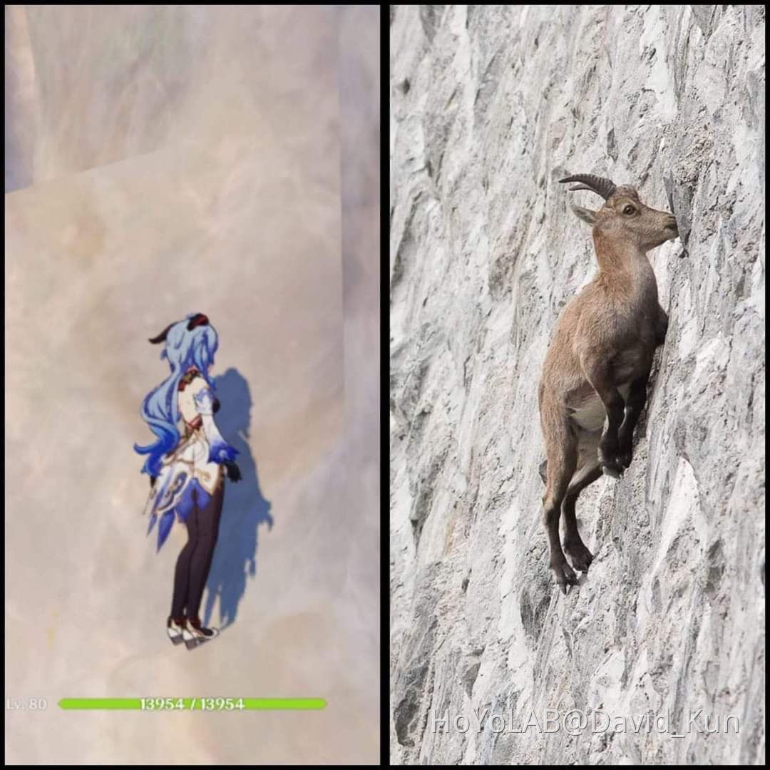 La COCO CABRA Genshin Impact | HoYoLAB