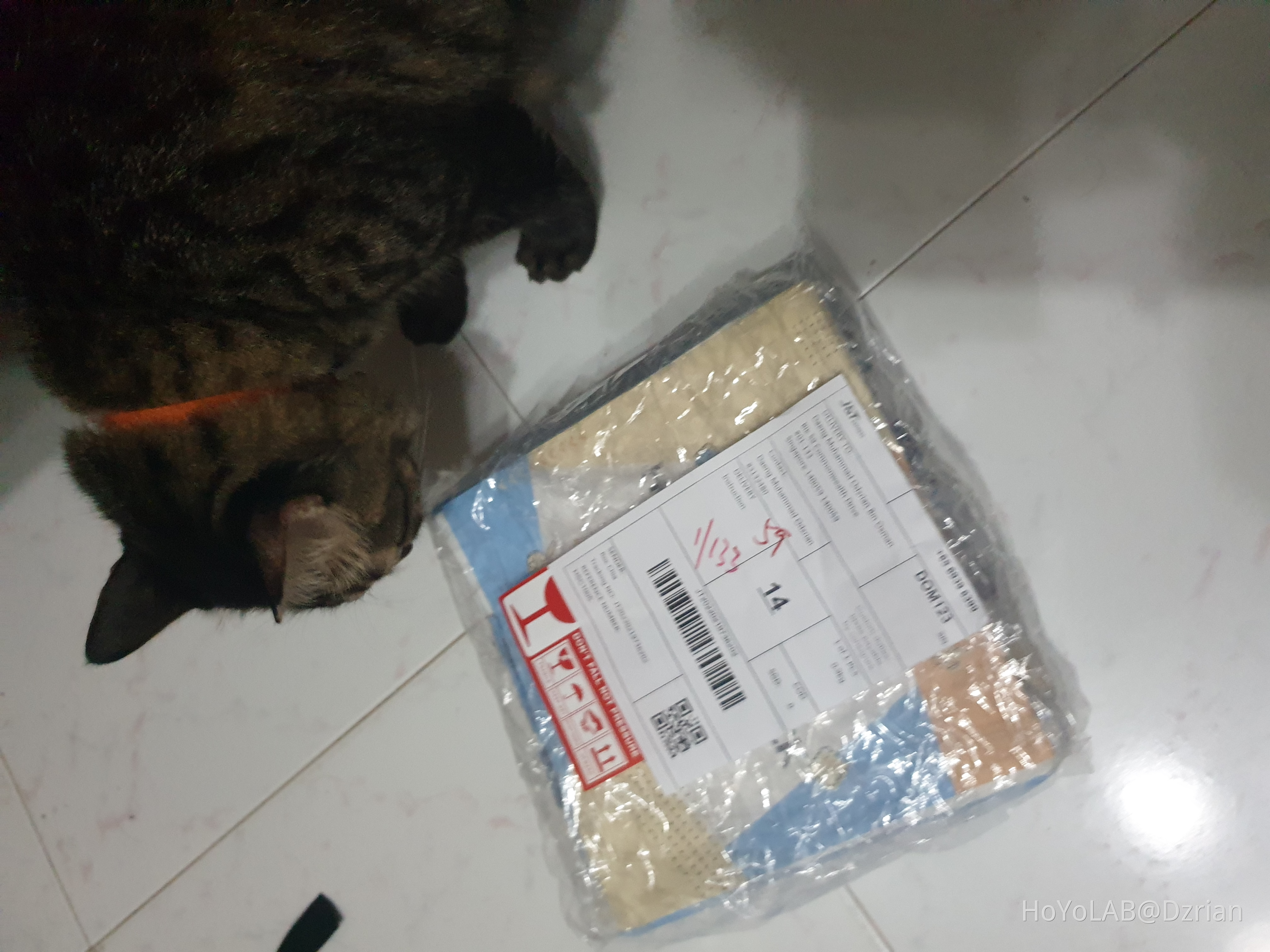 Snack Crate Arrived Honkai Impact 3rd | HoYoLAB