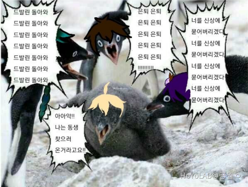 원신 짤 공유 방 Genshin Impact | HoYoLAB