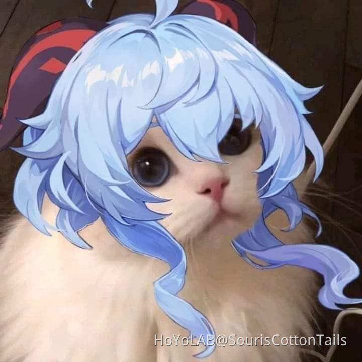 Personajes versión michi Genshin Impact | HoYoLAB