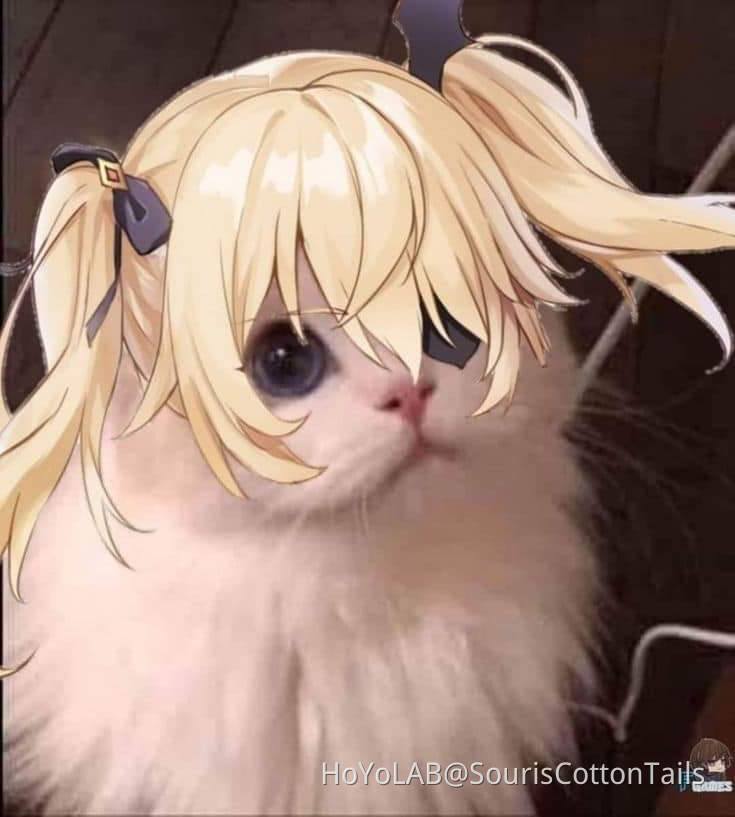 Personajes versión michi | Genshin Impact | HoYoLAB