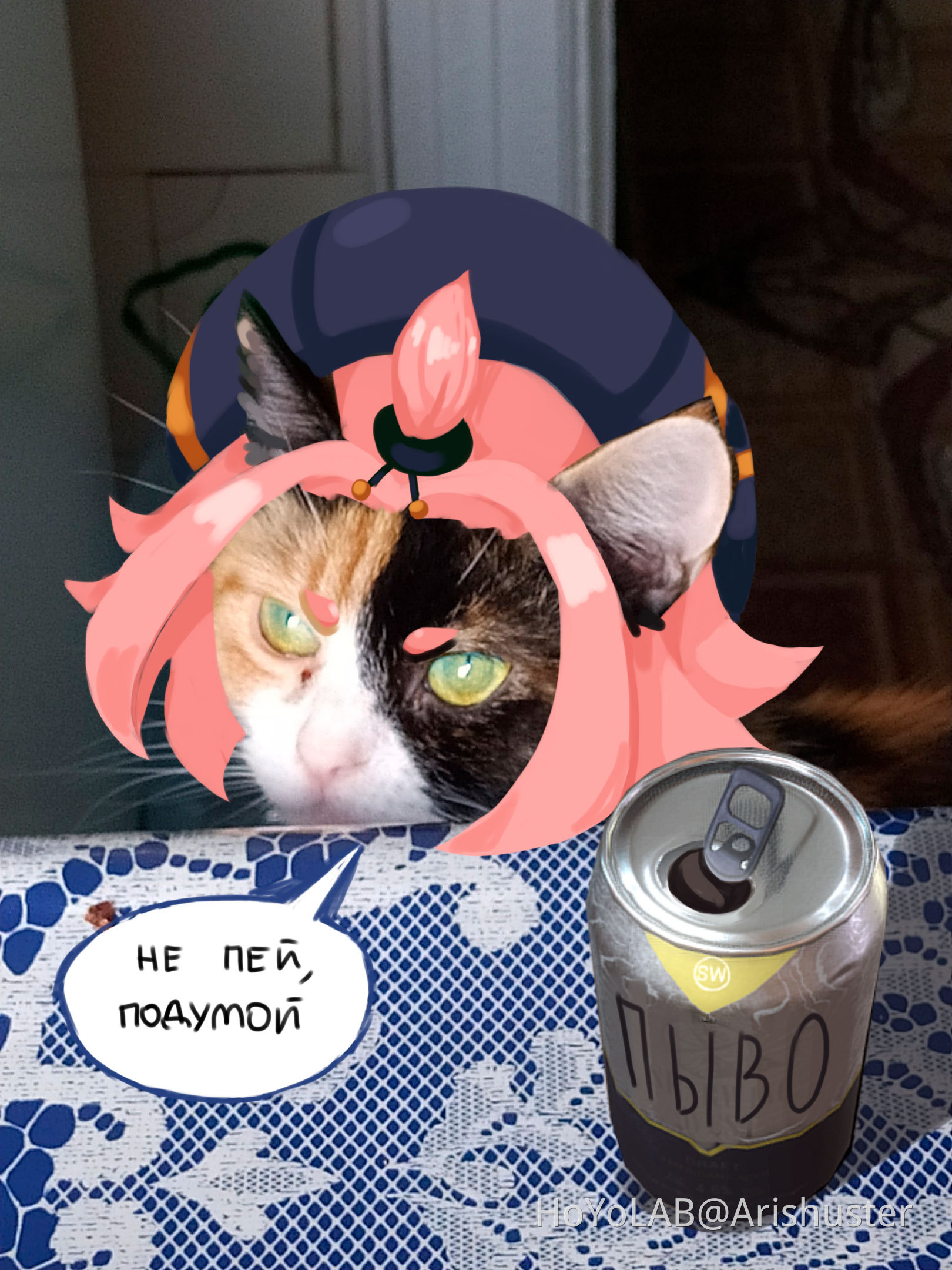 Diona The Real Cat Genshin Impact | HoYoLAB