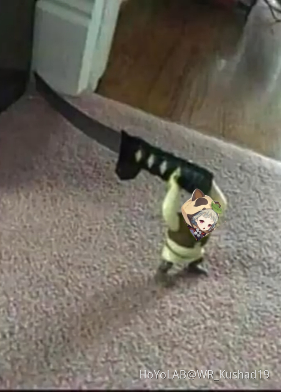 Sayu in Apes😂 Genshin Impact | HoYoLAB