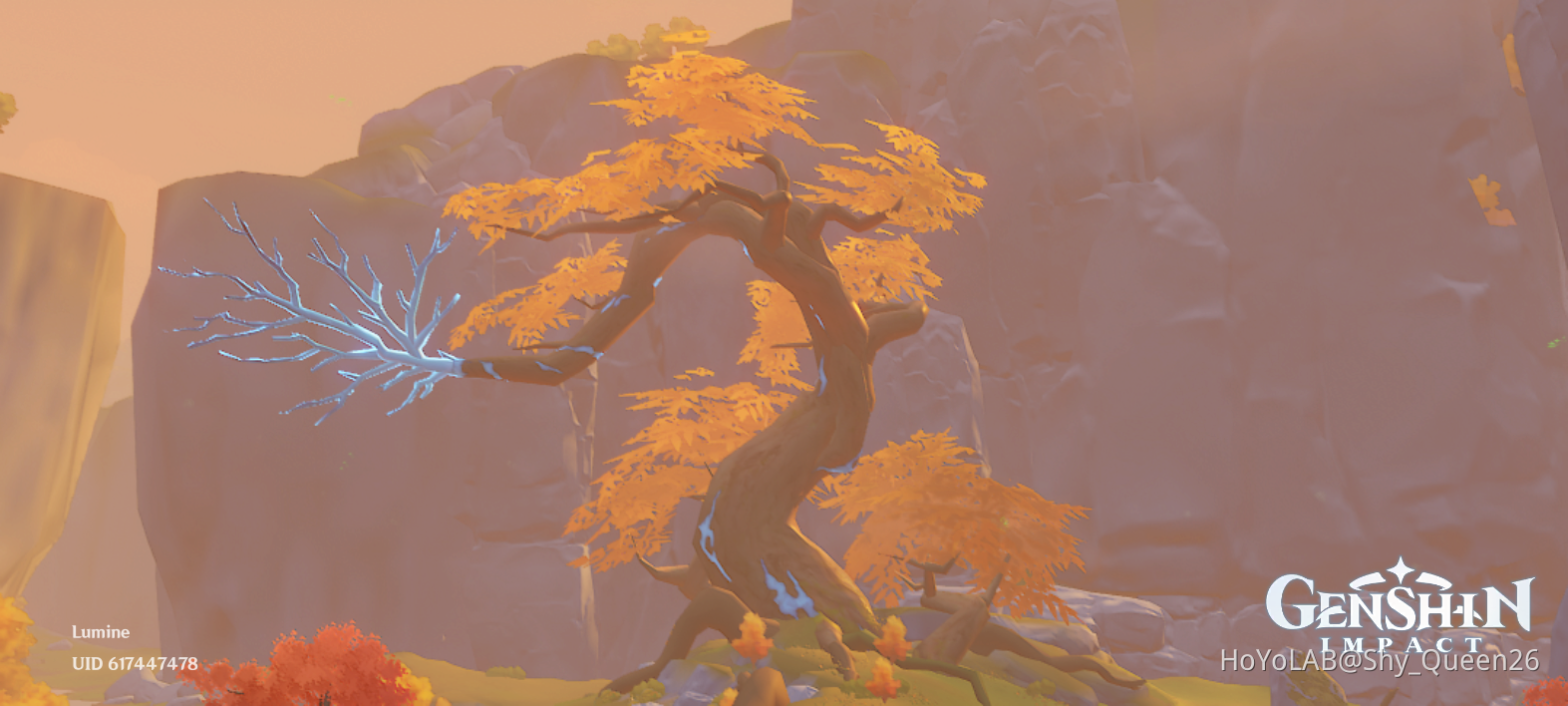 Huaguang Stone Forest Genshin Impact | HoYoLAB