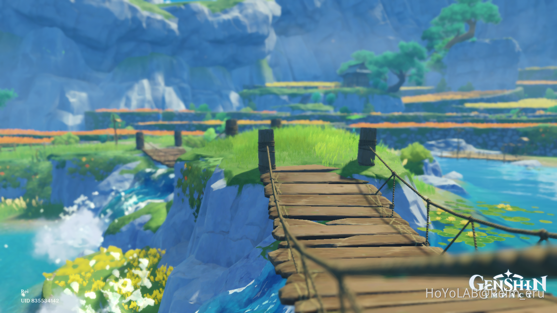 bridge Genshin Impact | HoYoLAB