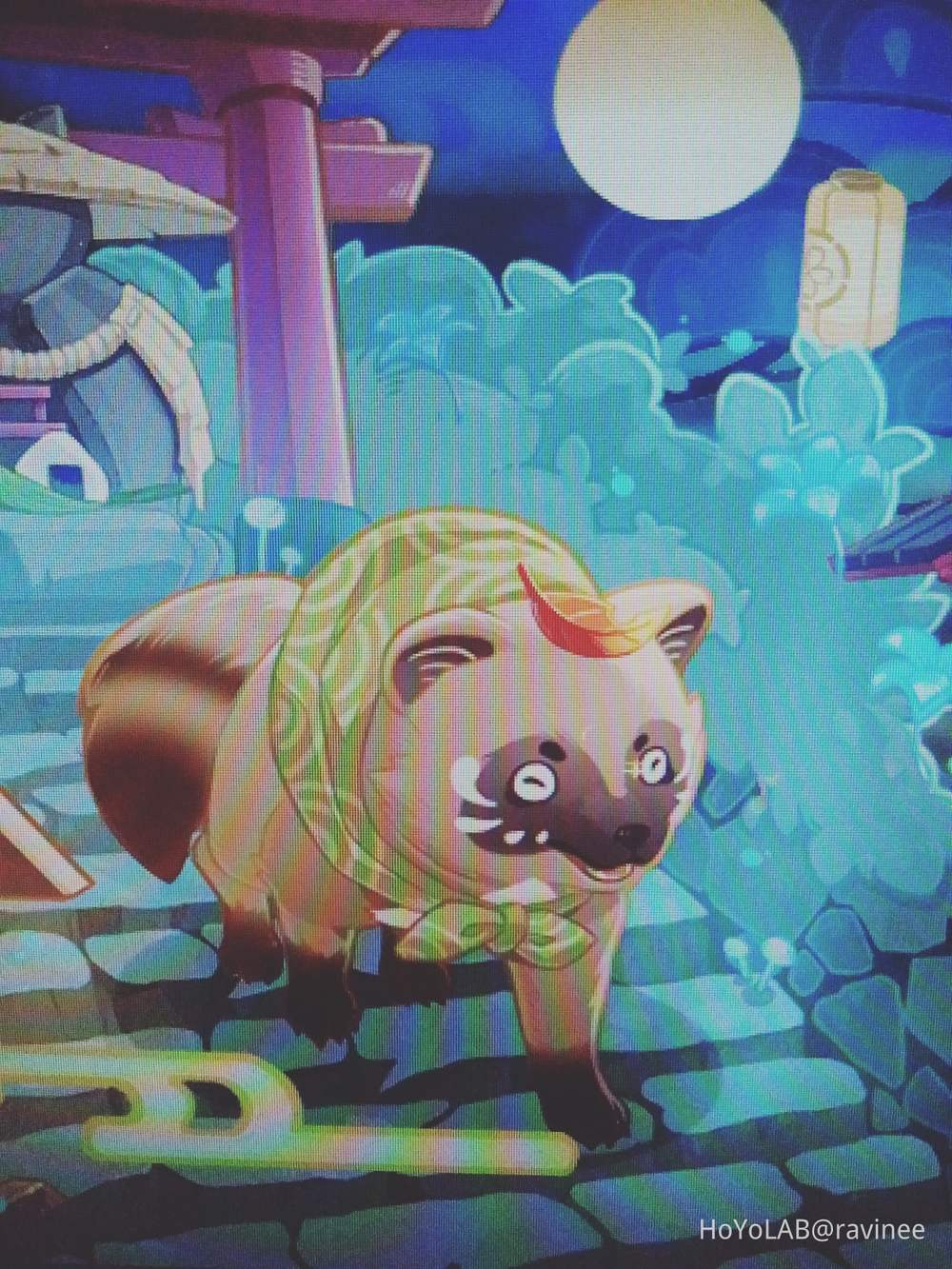 Tanuki Genshin Impact | HoYoLAB