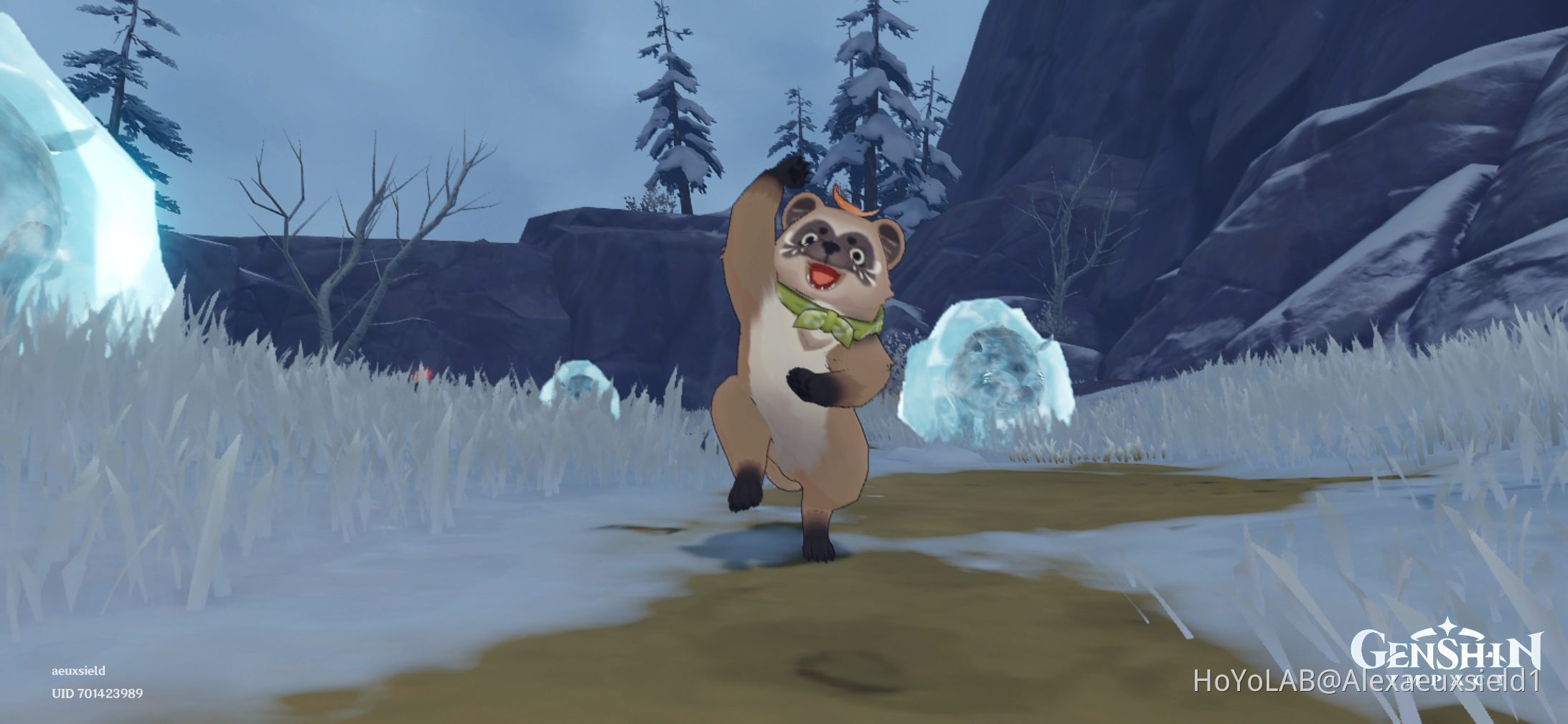 THESE CREATURES Genshin Impact | HoYoLAB