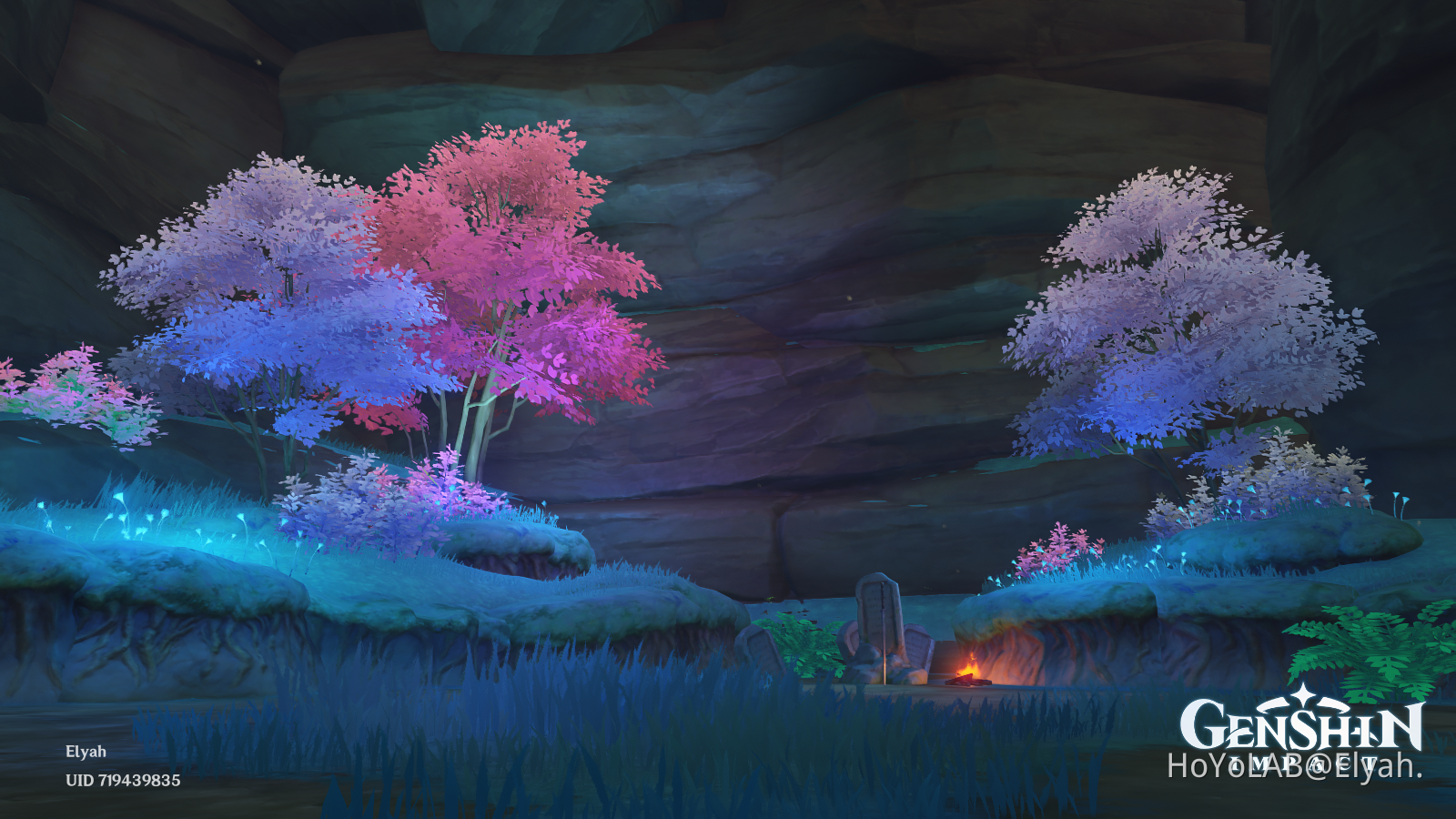 Inazuma is so beautiful Genshin Impact | HoYoLAB