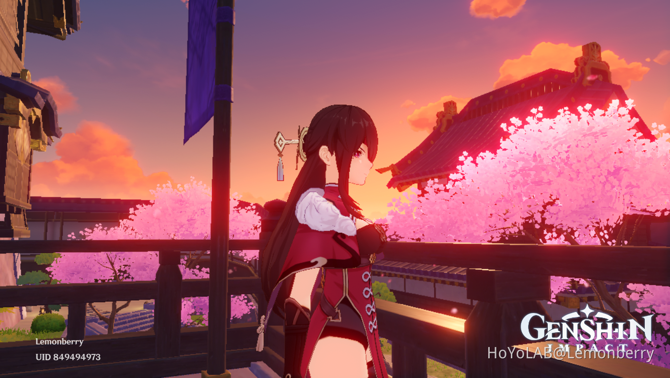 beidou Genshin Impact | HoYoLAB