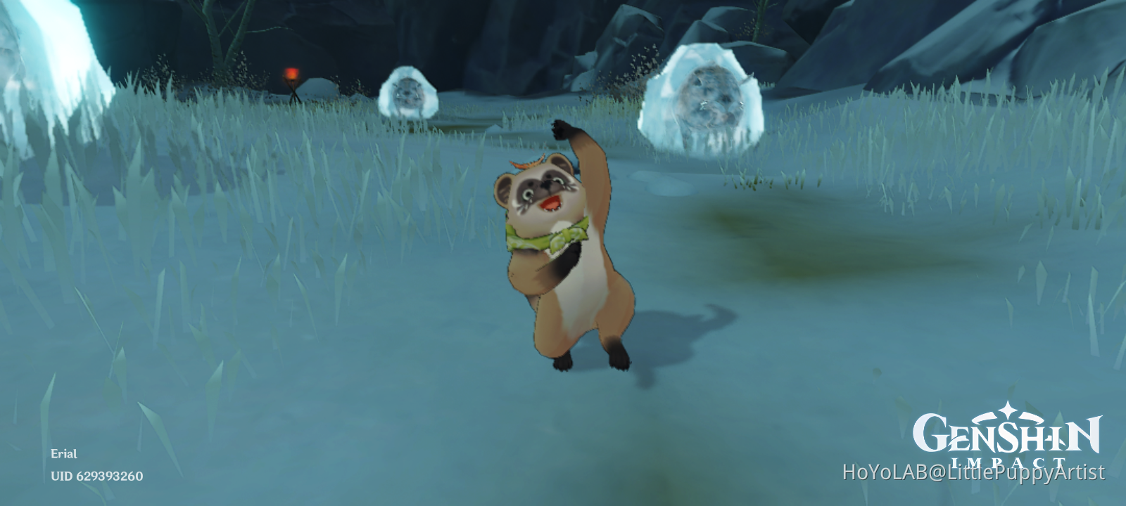 Hanging out with my tanuki friend Genshin Impact | HoYoLAB