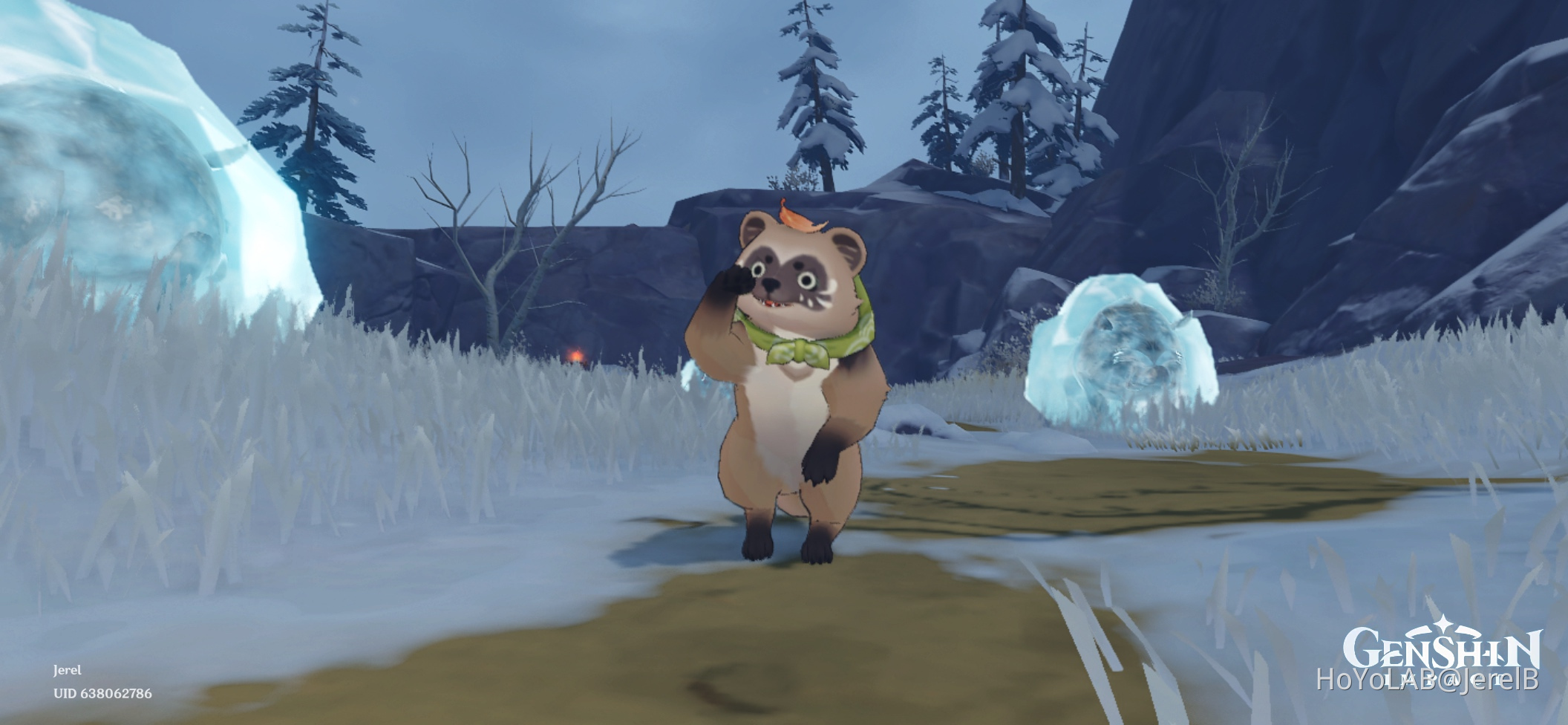 Baked Danuki Genshin Impact | HoYoLAB