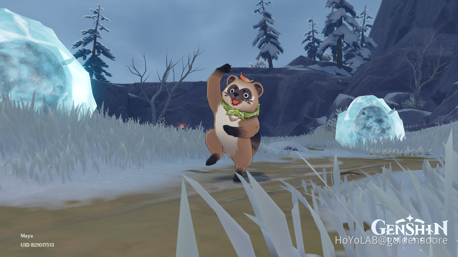 kichi-tan~ Genshin Impact | HoYoLAB