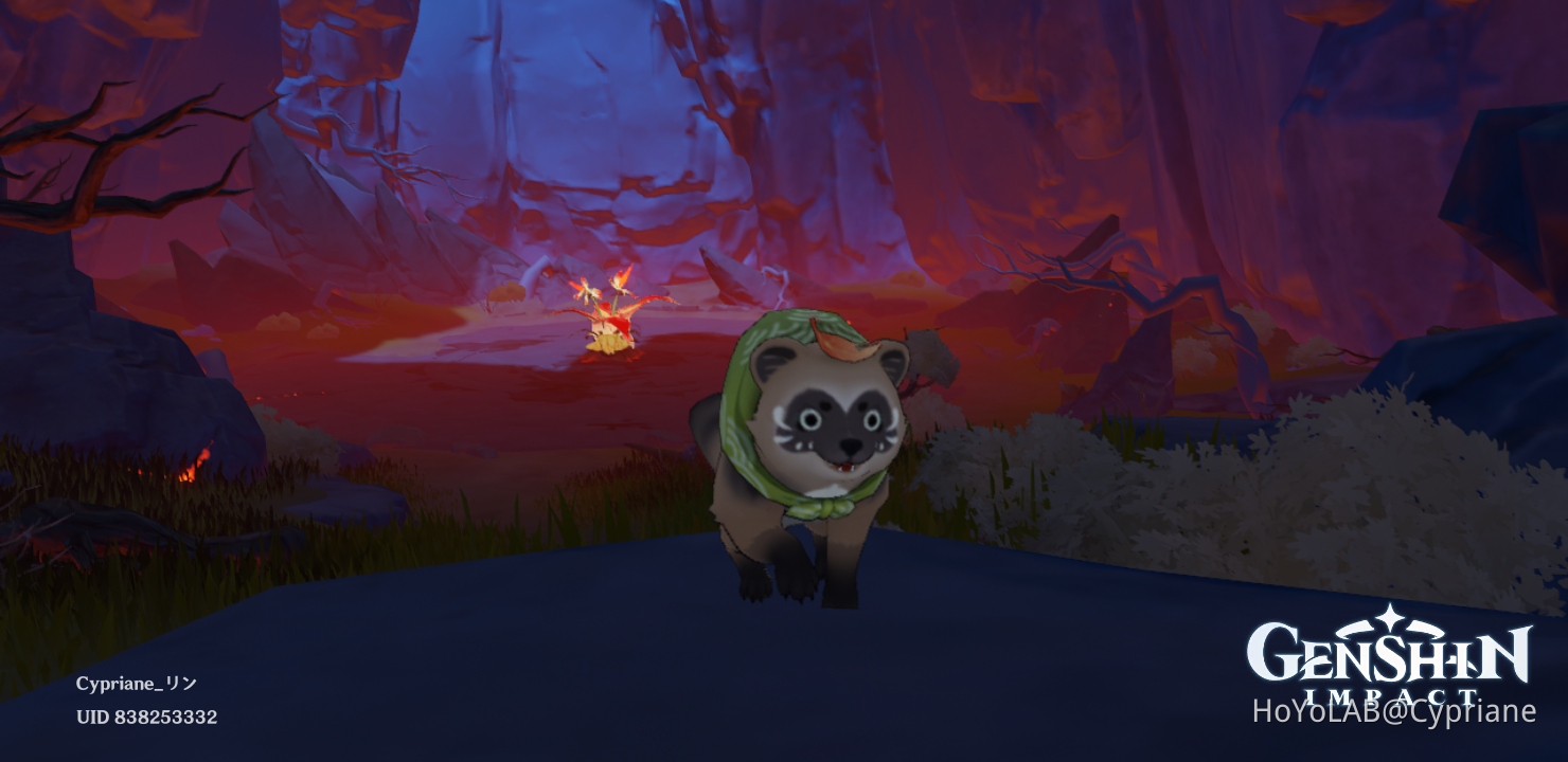 Steaming Bake-danuki Genshin Impact | HoYoLAB