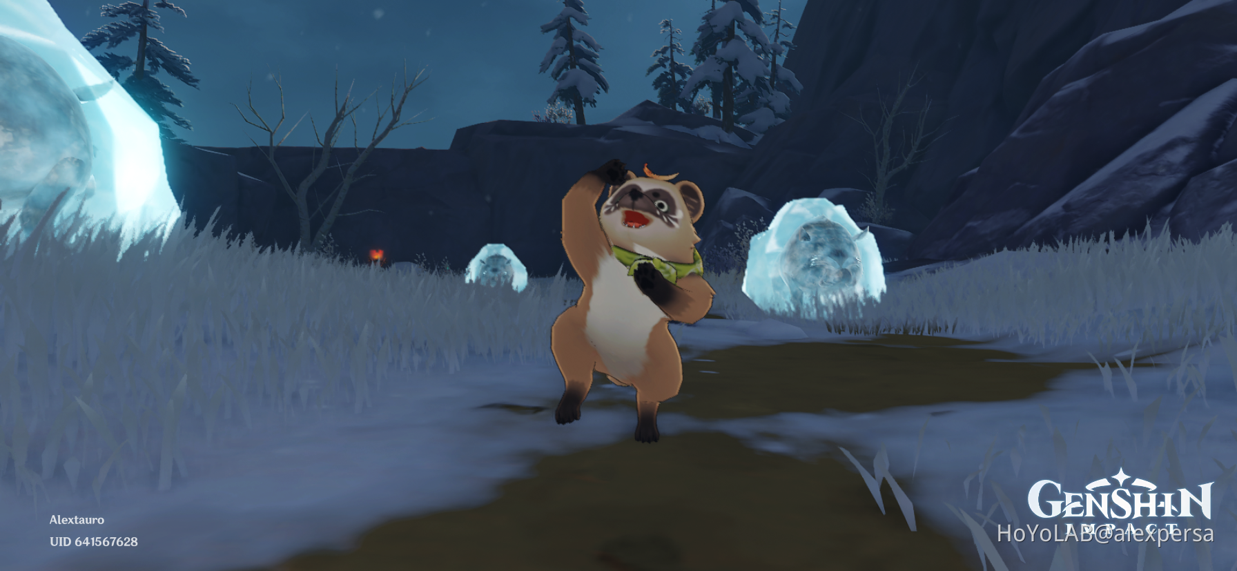 Lo que hago por protogemas Genshin Impact | HoYoLAB