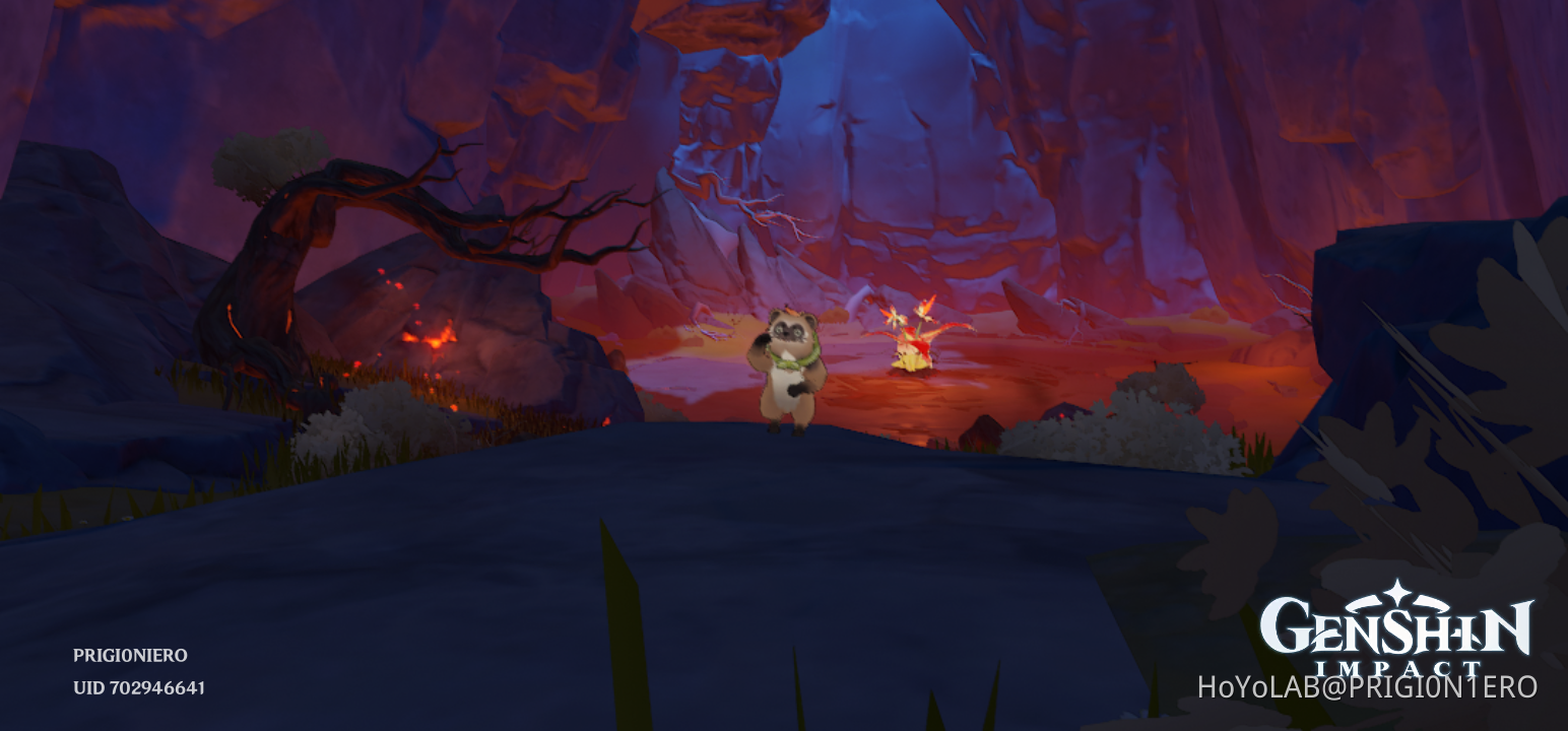 garbage bear studying how use a fkn flower to cook paimon Genshin ...