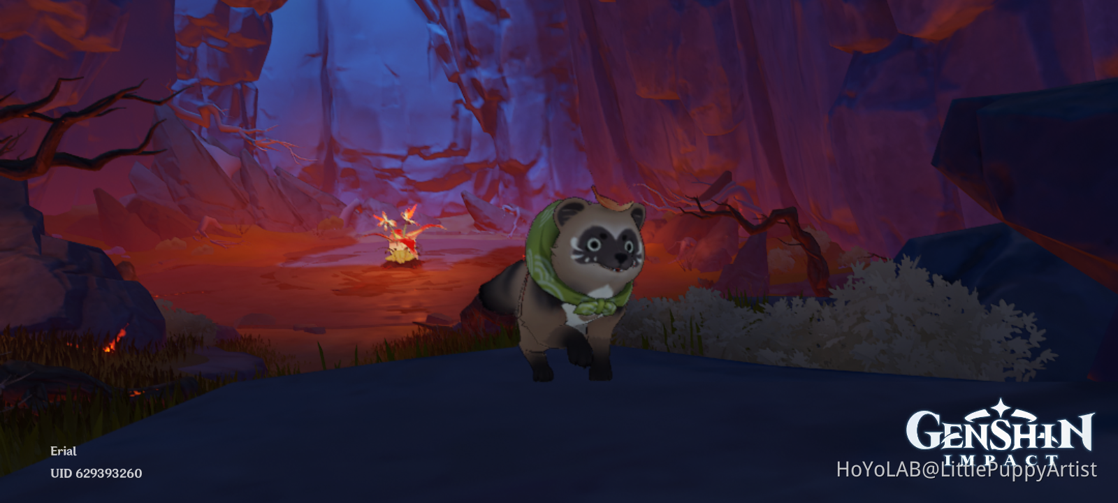 Hanging out with my tanuki friend pt7 Genshin Impact | HoYoLAB