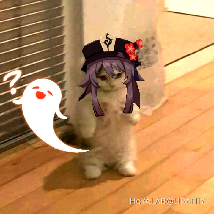 memes. Genshin Impact | HoYoLAB