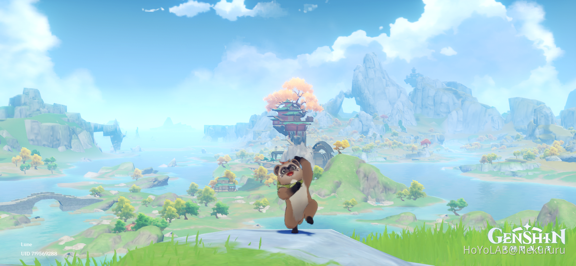 All the littles pics of this cute little tanuki | Genshin Impact | HoYoLAB