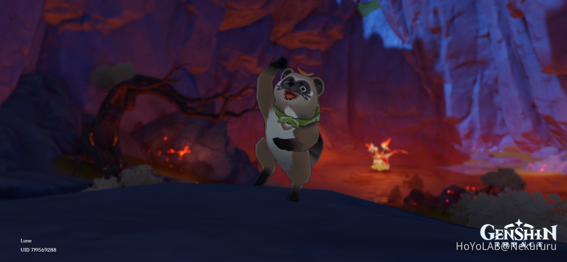 All the littles pics of this cute little tanuki | Genshin Impact | HoYoLAB