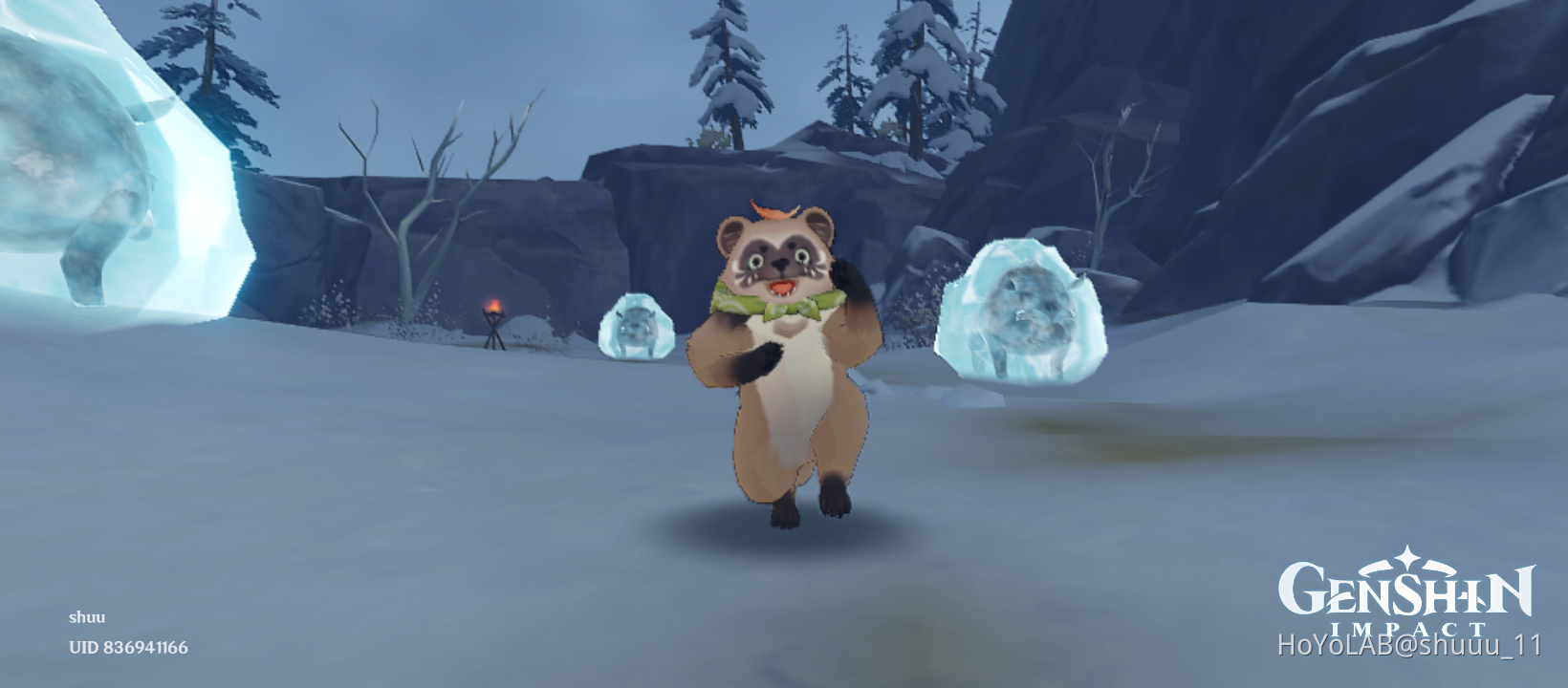 fun moments with tanuki Genshin Impact | HoYoLAB