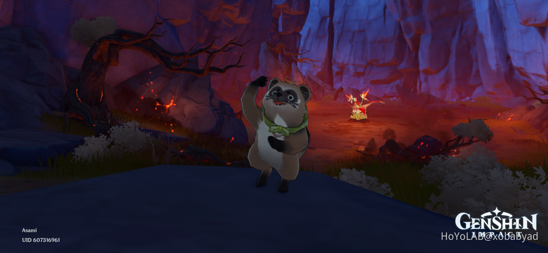 Fire flower Genshin Impact | HoYoLAB