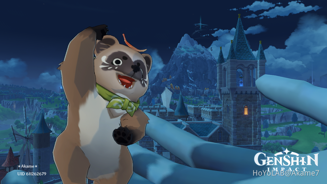 Fotitas del Tanuki bb uwu Genshin Impact | HoYoLAB