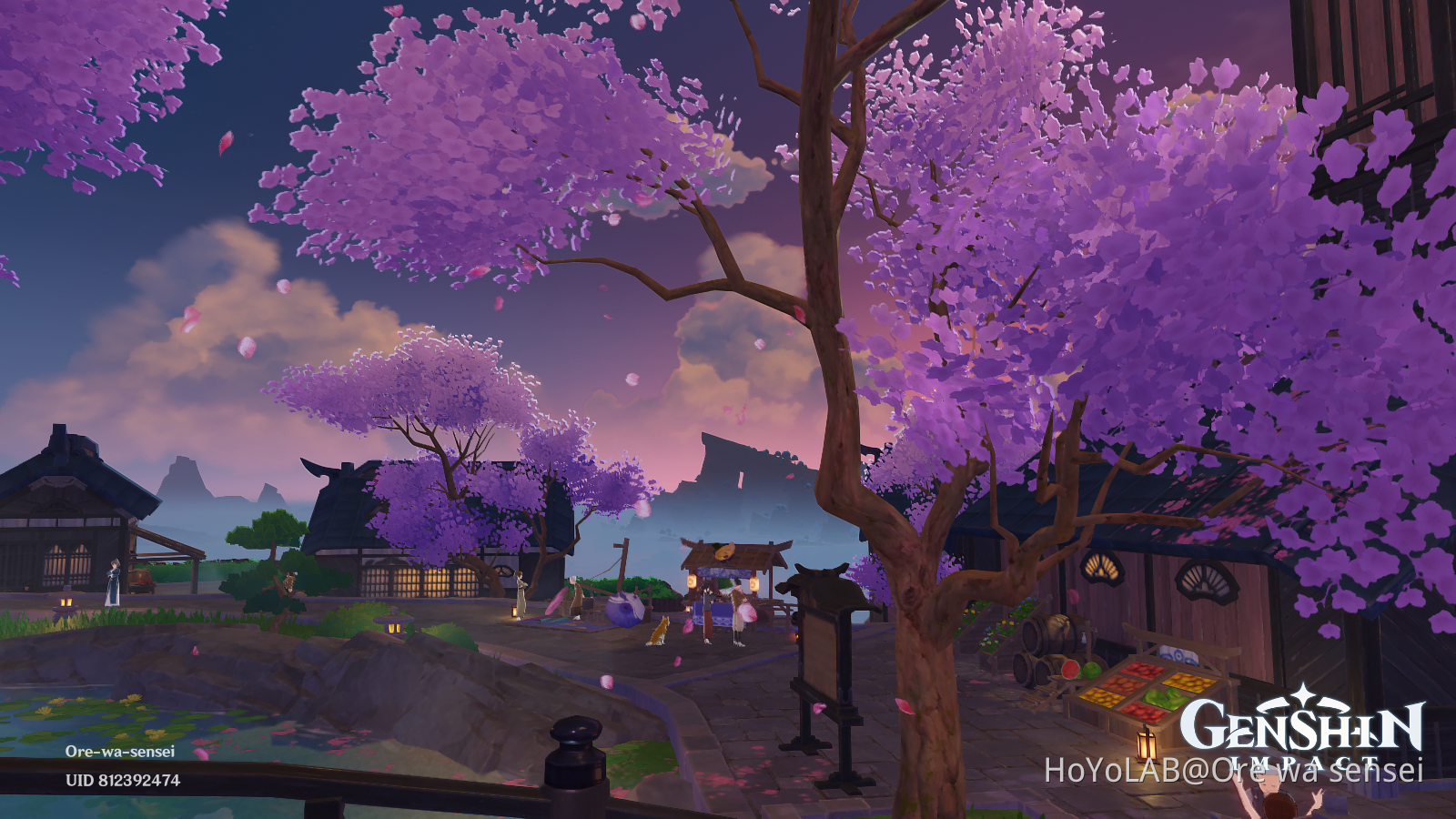 Sakura night Genshin Impact | HoYoLAB