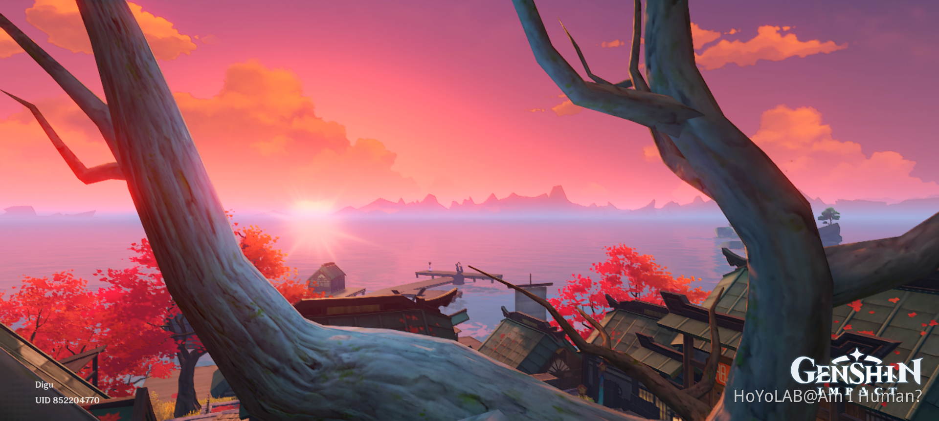 The Sunset🌇 Genshin Impact | HoYoLAB