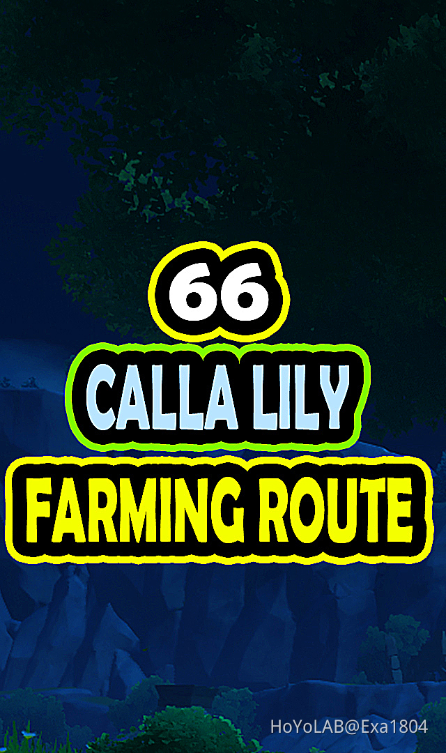 66 Calla Lily Farming Route (Video + Screenshots) Genshin Impact | HoYoLAB