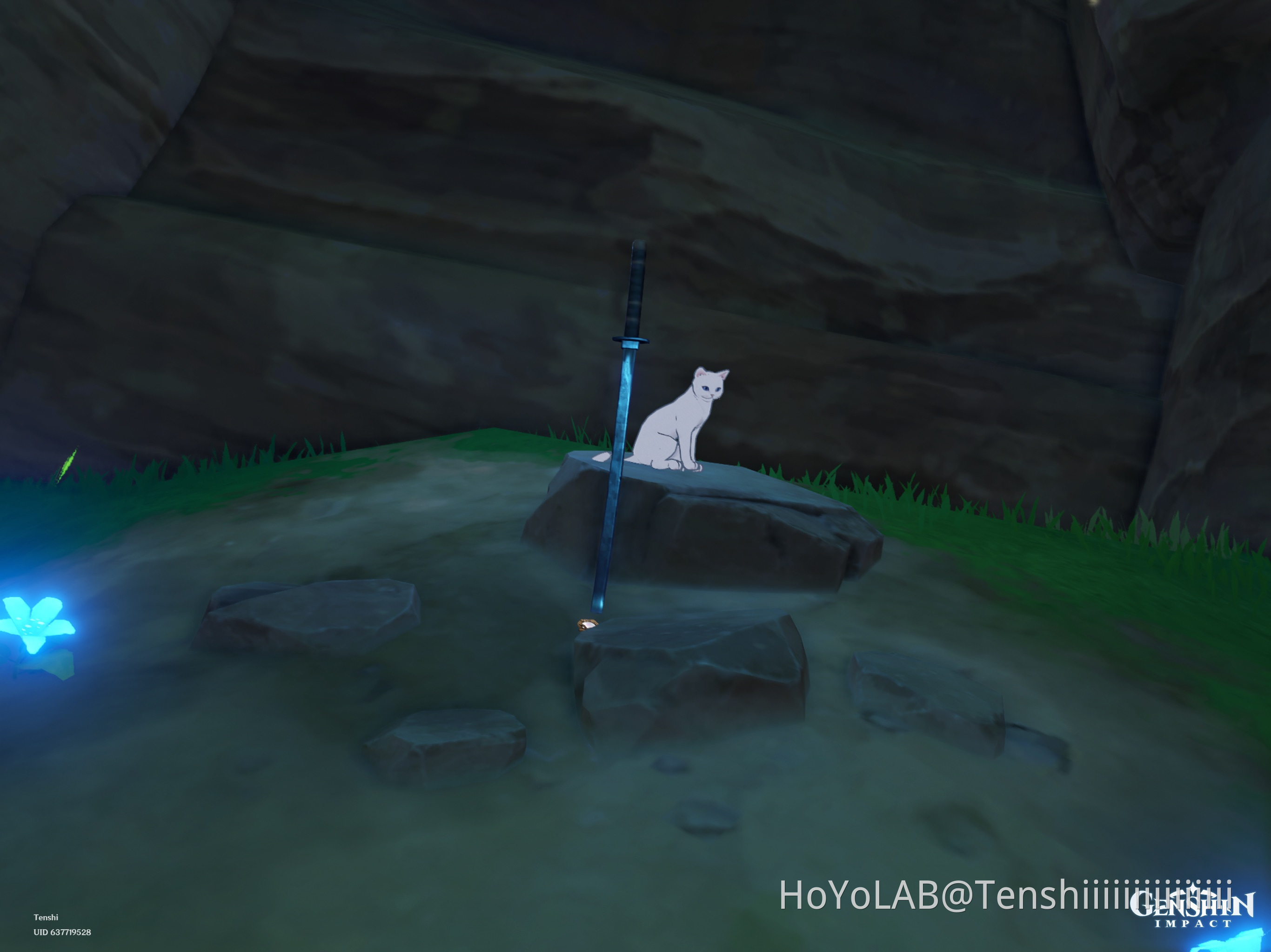 Tomo’s cat Genshin Impact | HoYoLAB