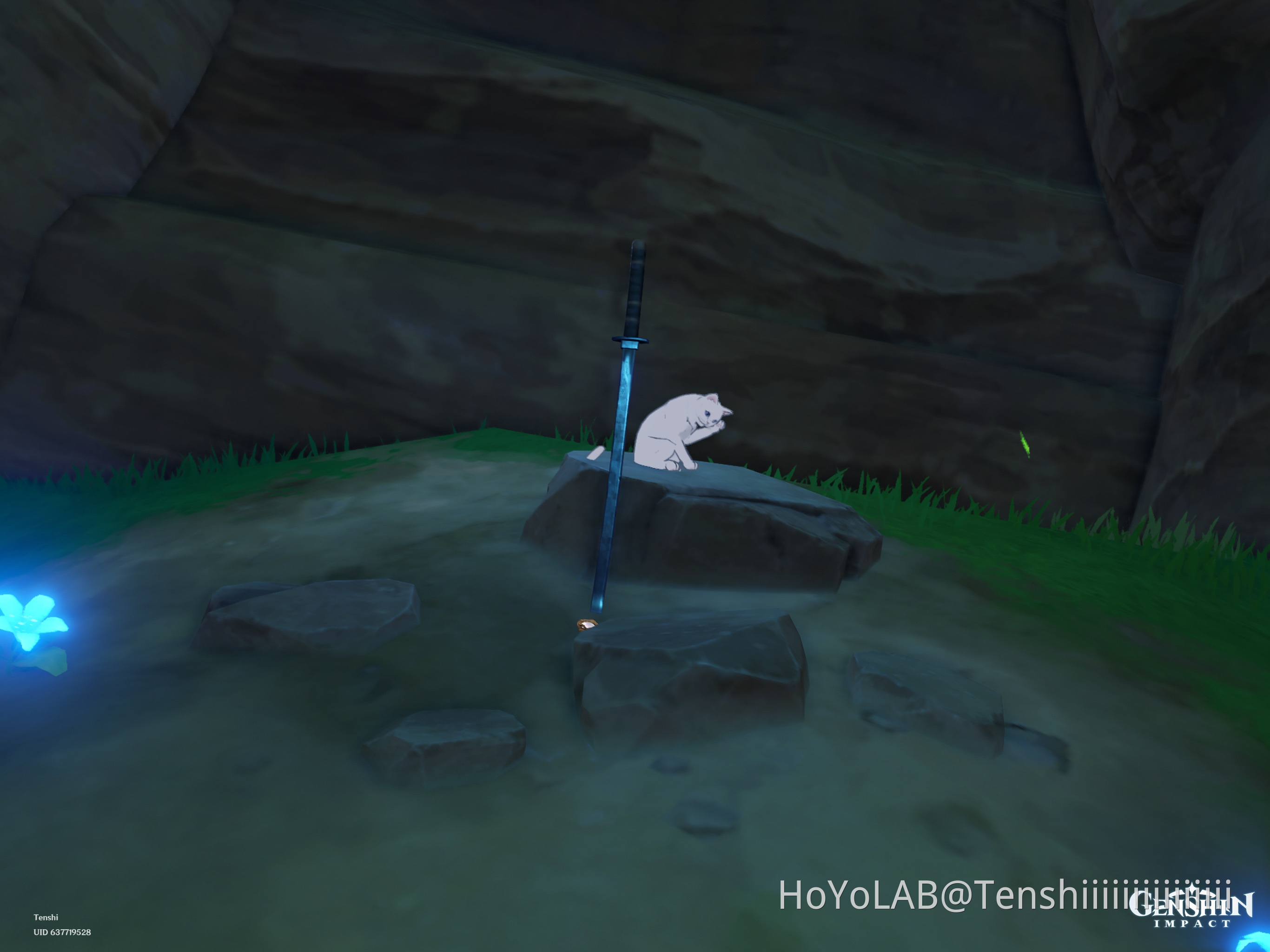 Tomo’s cat | Genshin Impact | HoYoLAB
