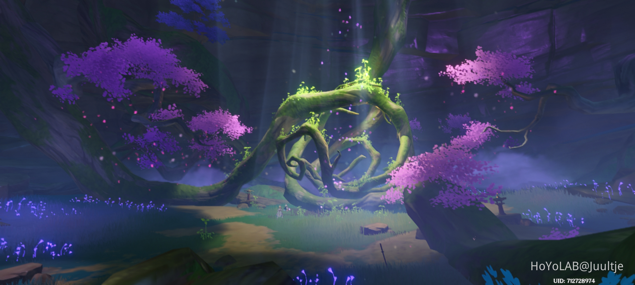 The heart of the Sakura tree Genshin Impact | HoYoLAB