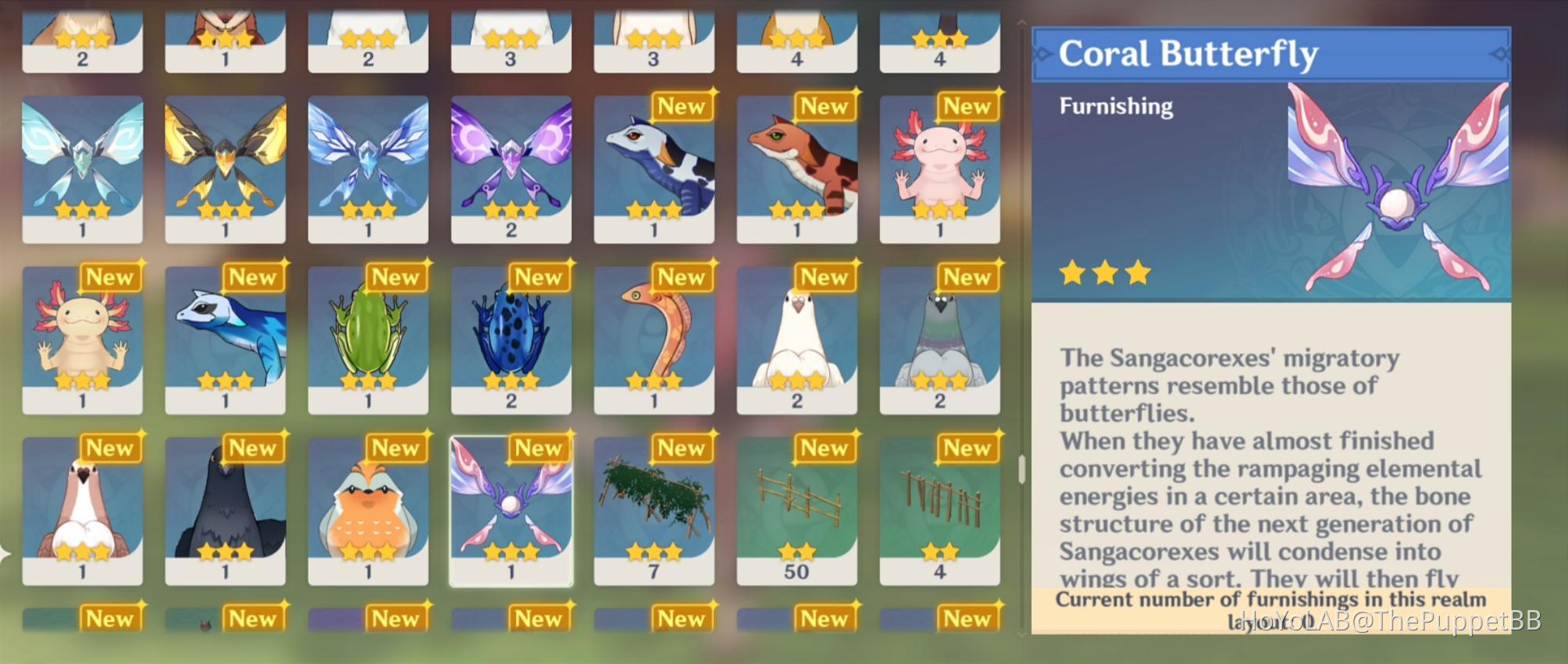 Coral butterflies can be catchable with omni-ubiquity net, so don't ...