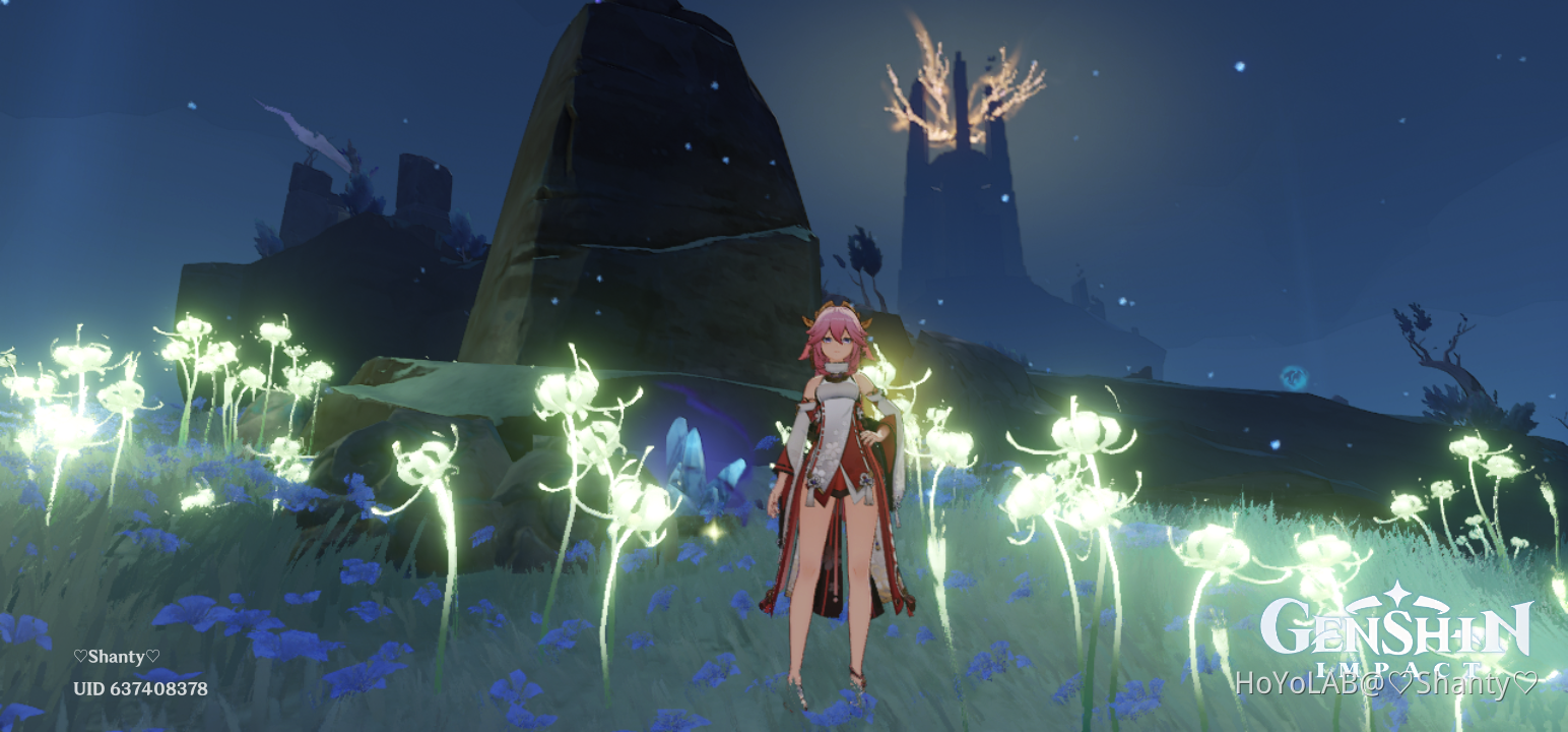 I love these flowers and my Yae Miko! Genshin Impact | HoYoLAB