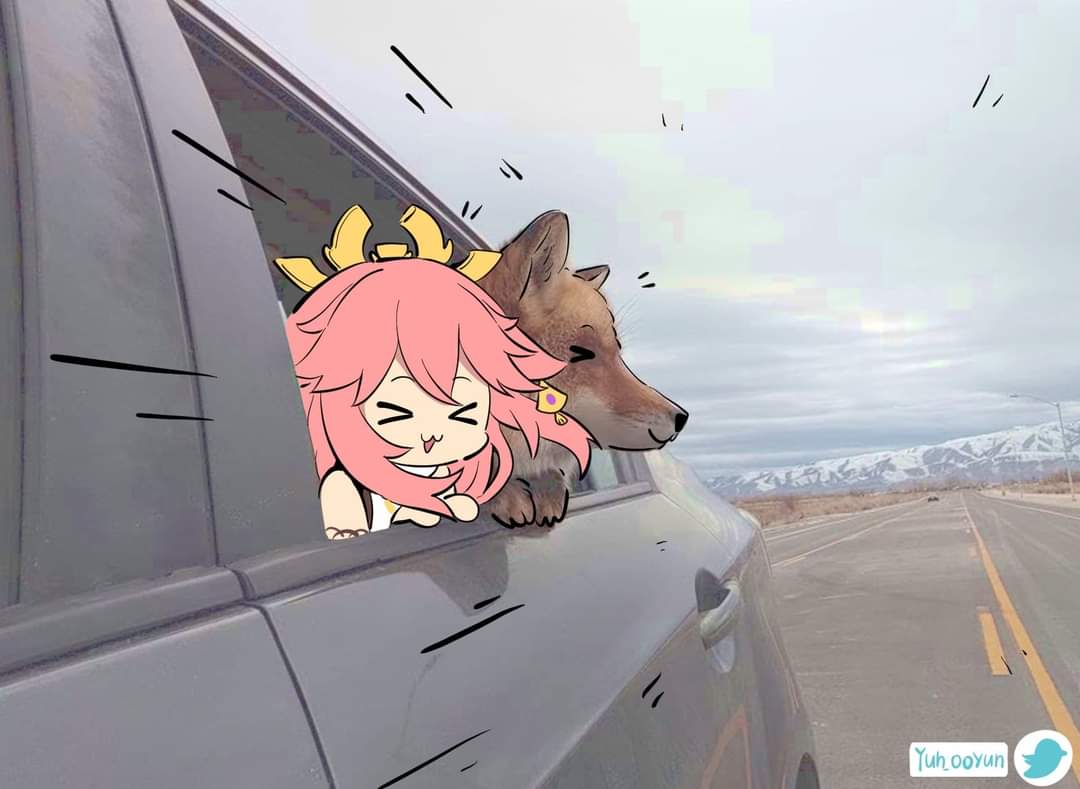 Fox Genshin Impact | HoYoLAB