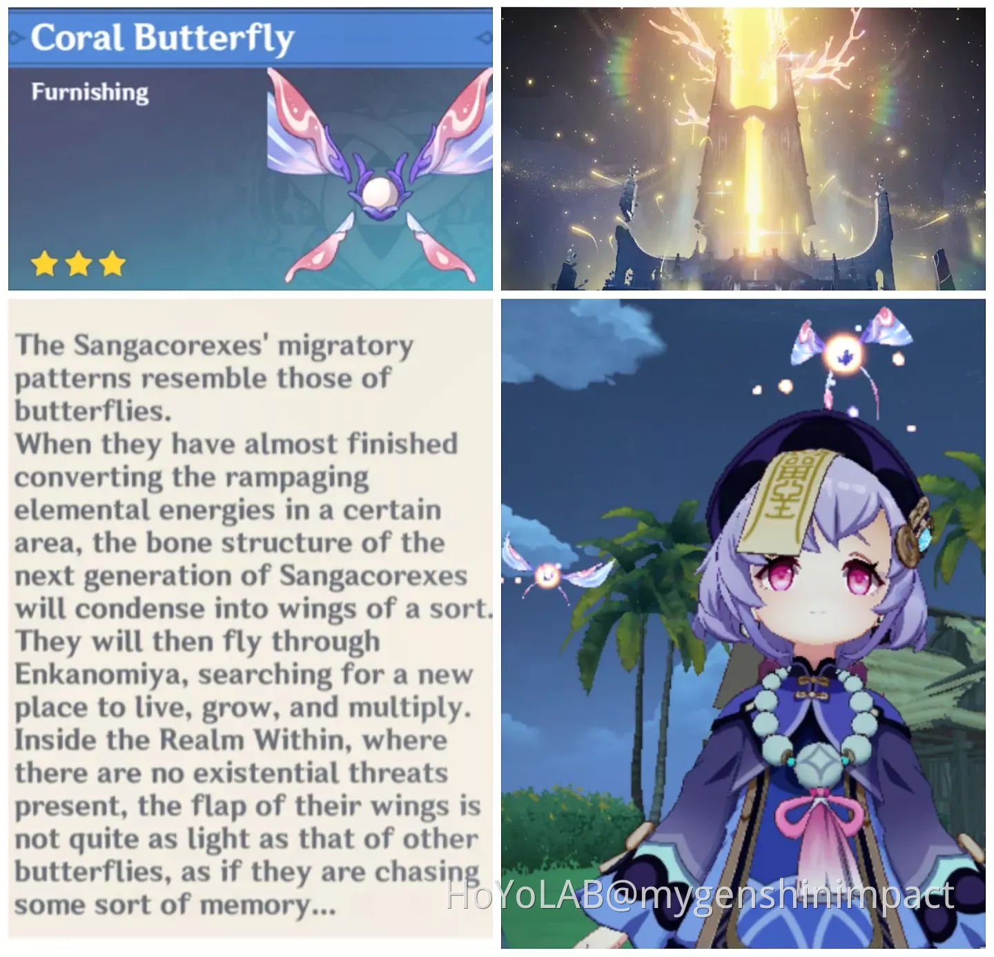 Coral Butrerflies Genshin Impact | HoYoLAB