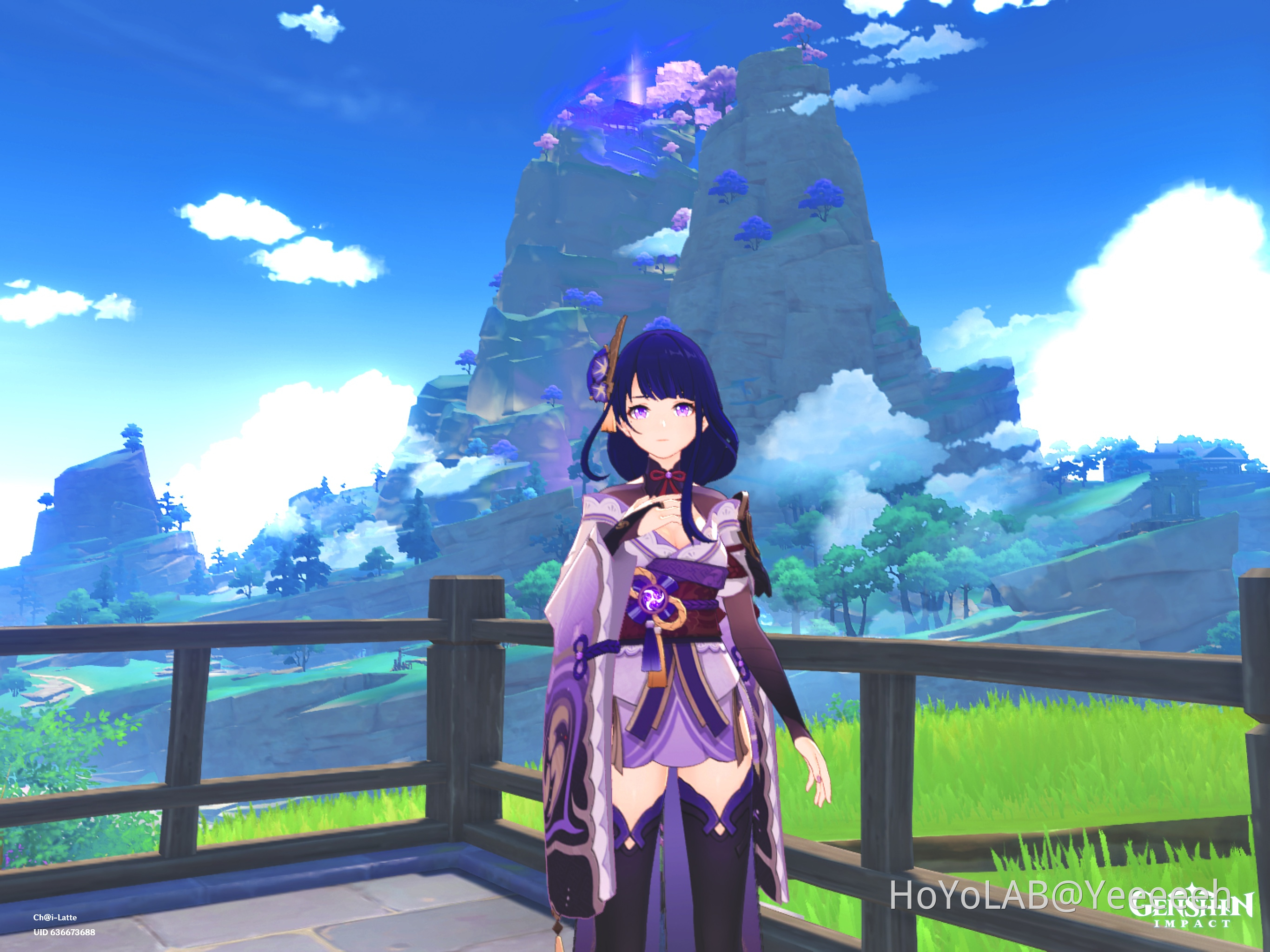 The photo I took of ei Genshin Impact | HoYoLAB