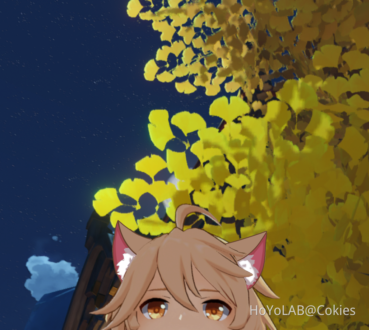 neko-aether Genshin Impact | HoYoLAB