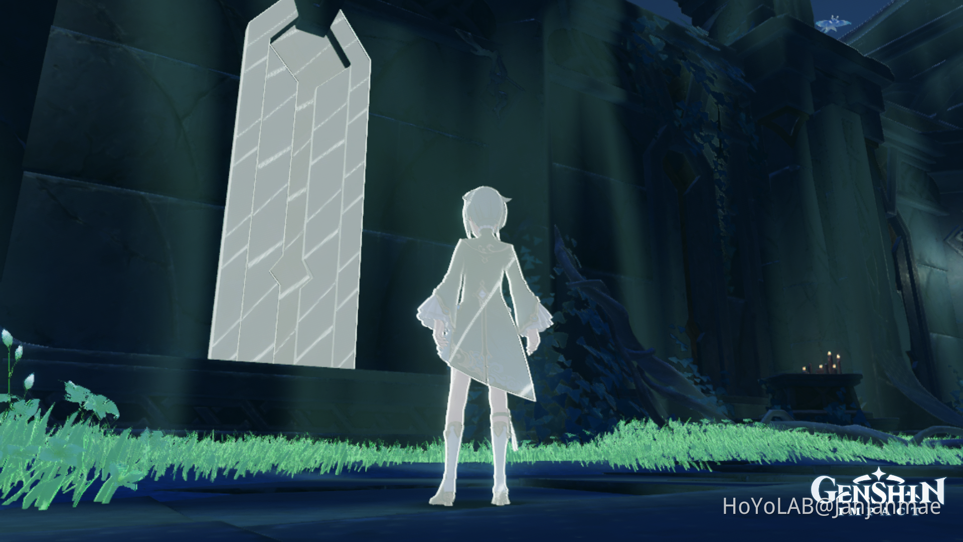 This secret door in Dainichi Mikoshi in Enkanomiya. How to unlock ...