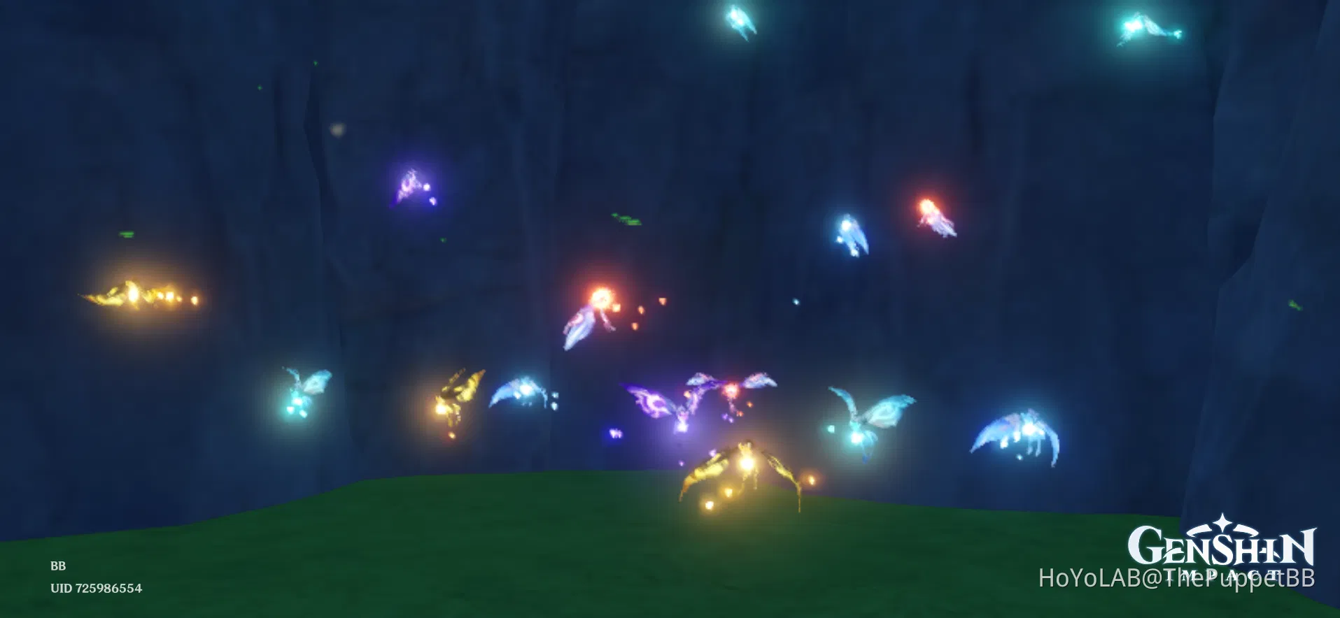 Please Hoyo make crystal flies as pets OwO Genshin Impact | HoYoLAB