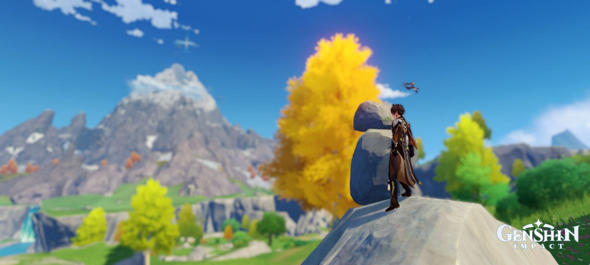 Found an unusual rock formation(?) Genshin Impact | HoYoLAB