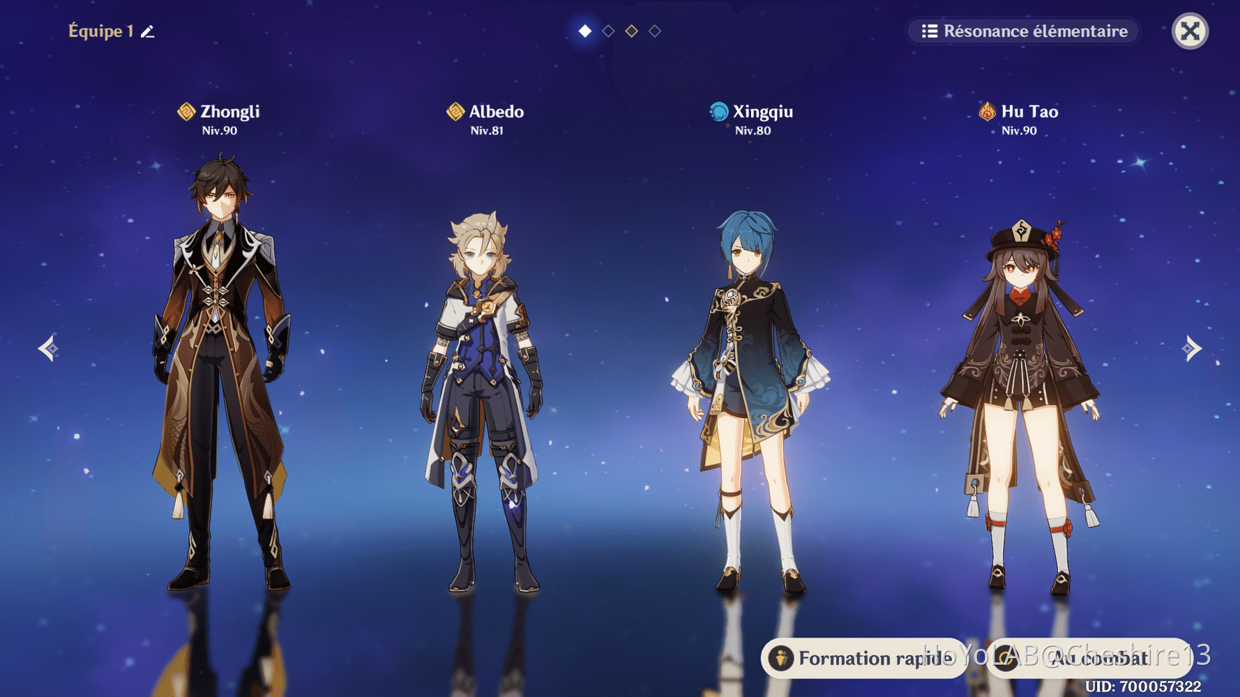 Comment construire une bonne team autour de son dps? Genshin Impact ...