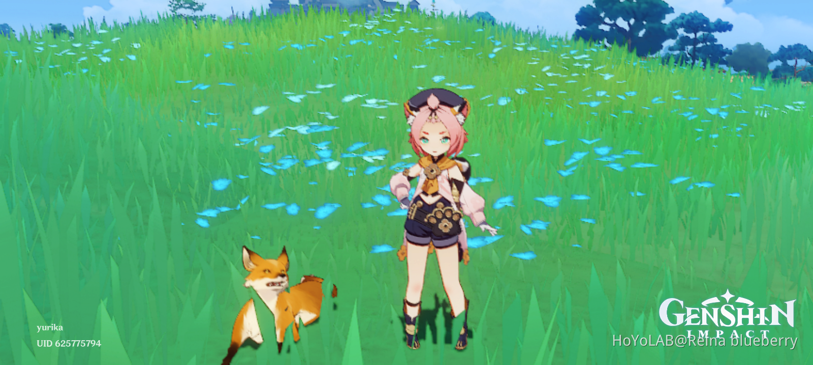 Fox and cat Genshin Impact | HoYoLAB