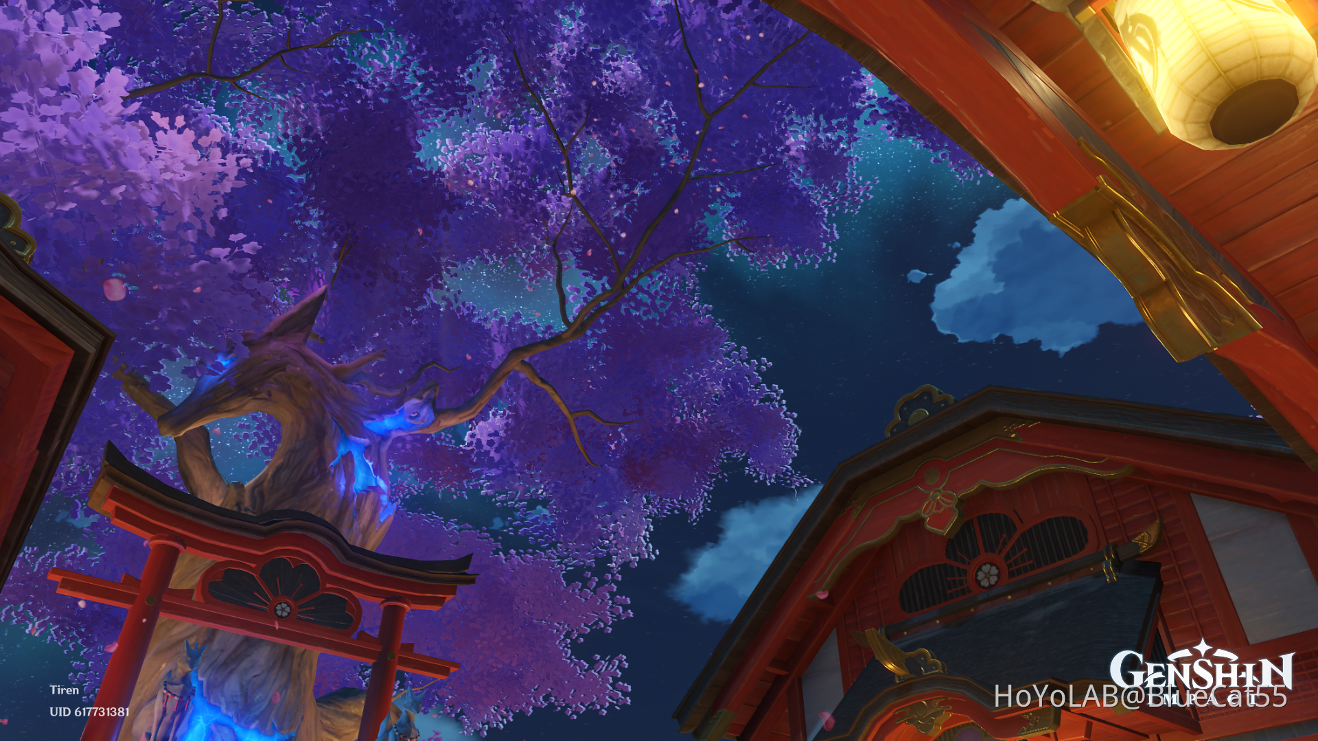 Bloom Genshin Impact | HoYoLAB