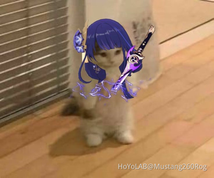 Neko sword Genshin Impact | HoYoLAB