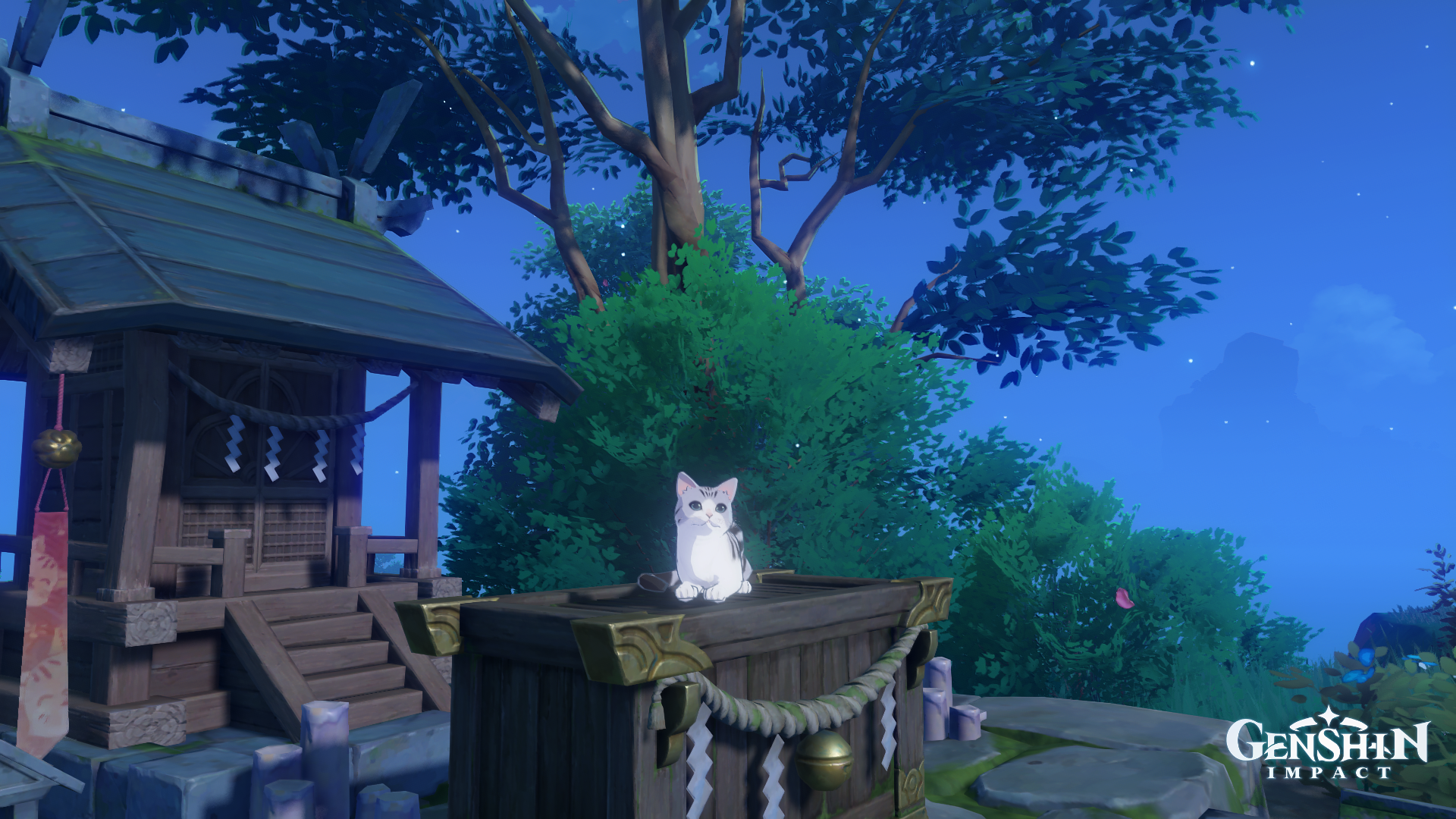 Neko Shrine pictures! Genshin Impact | HoYoLAB