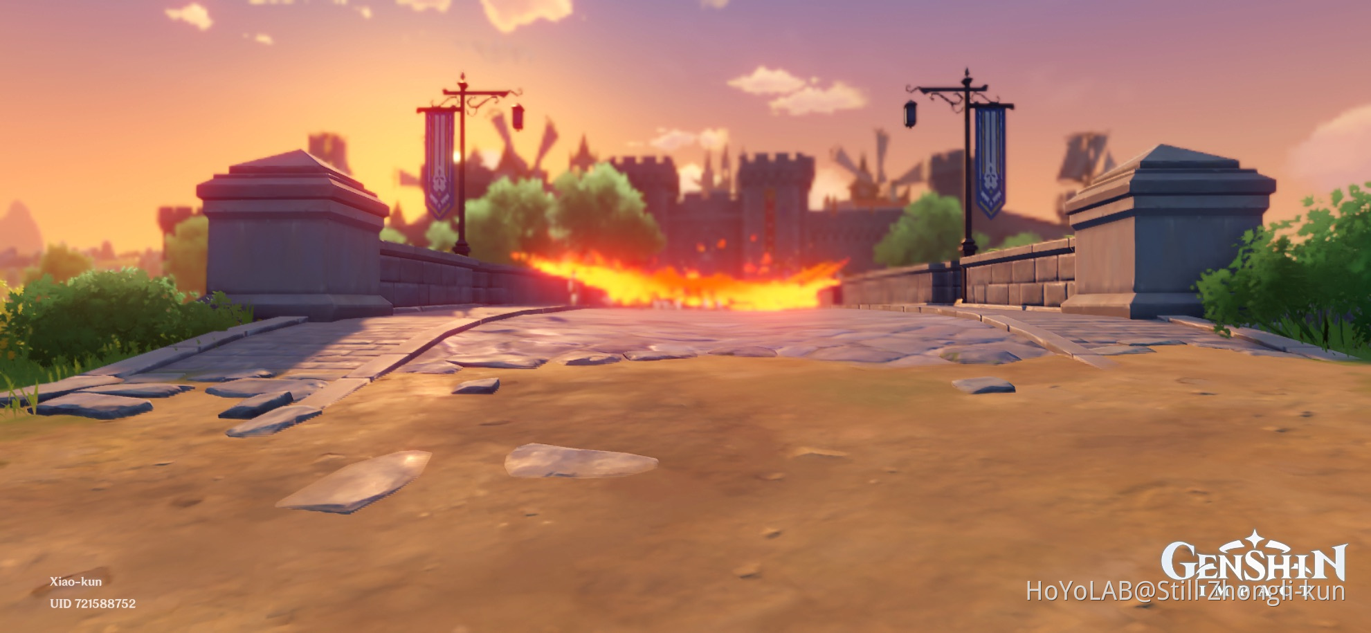 Just an Nice pic of dilucs bird. He Manager to not die for 25 minutes ...